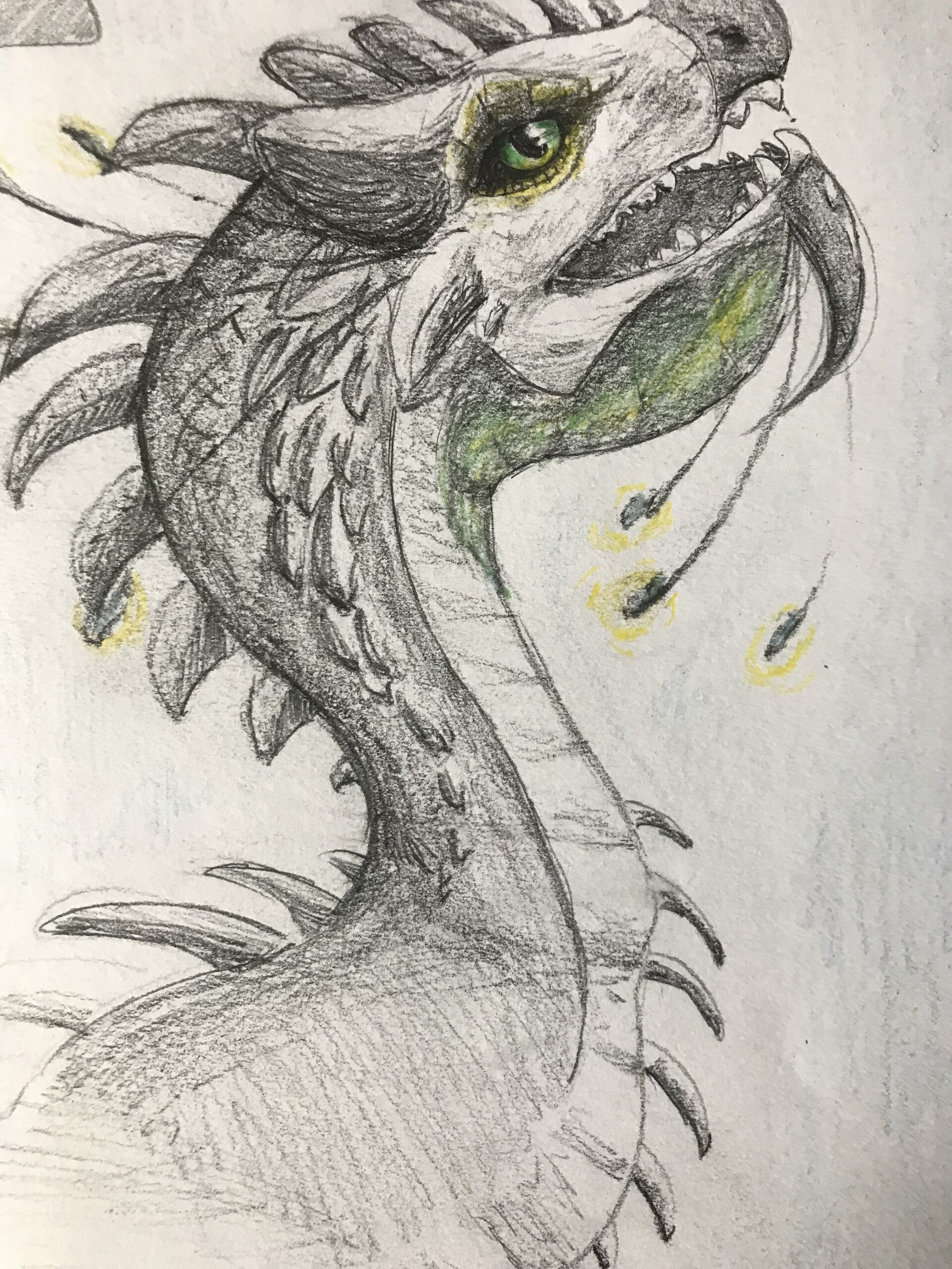 ArtStation - Sea Dragon | Gift