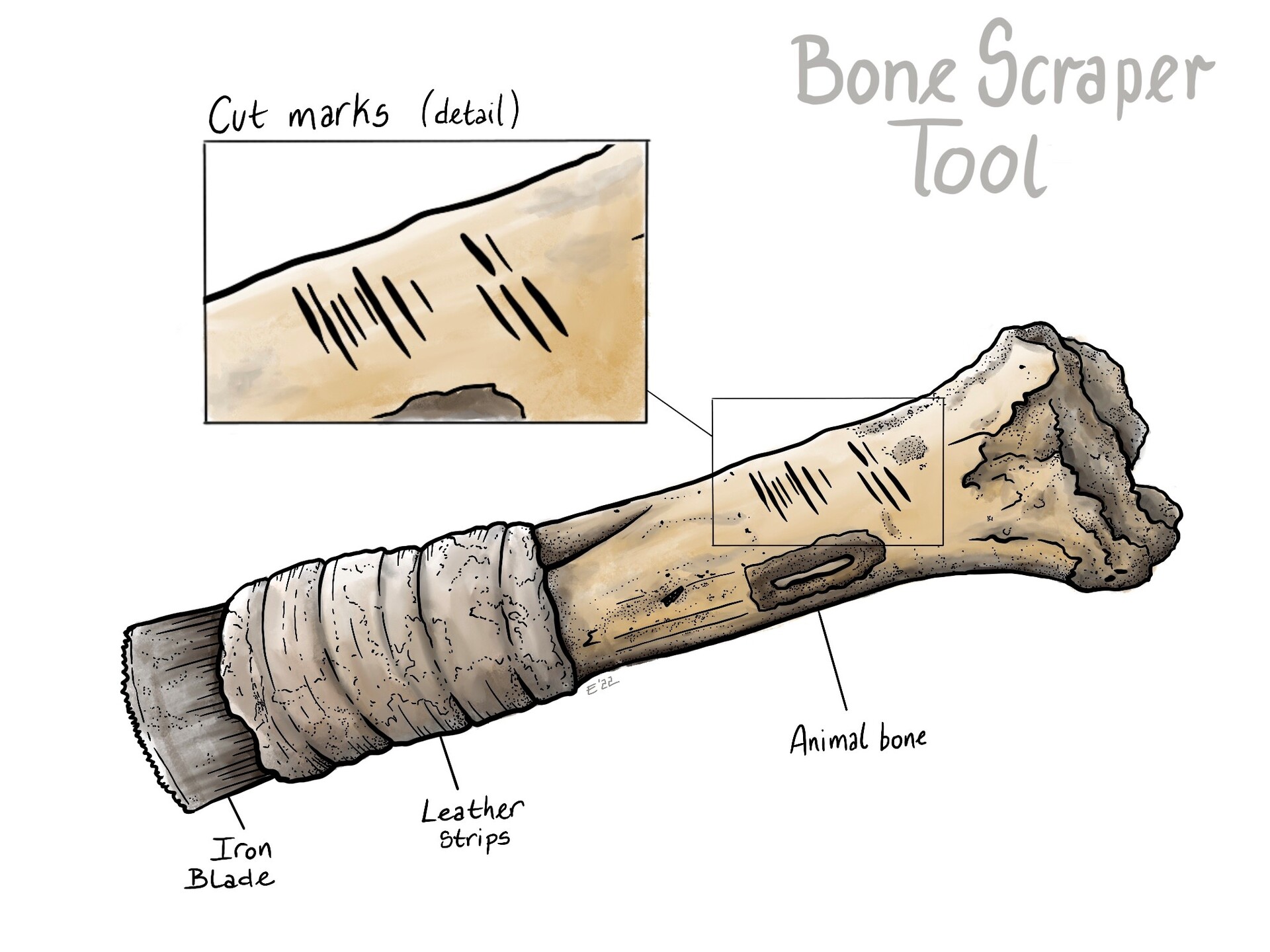 ArtStation - BONE SCRAPER TOOL