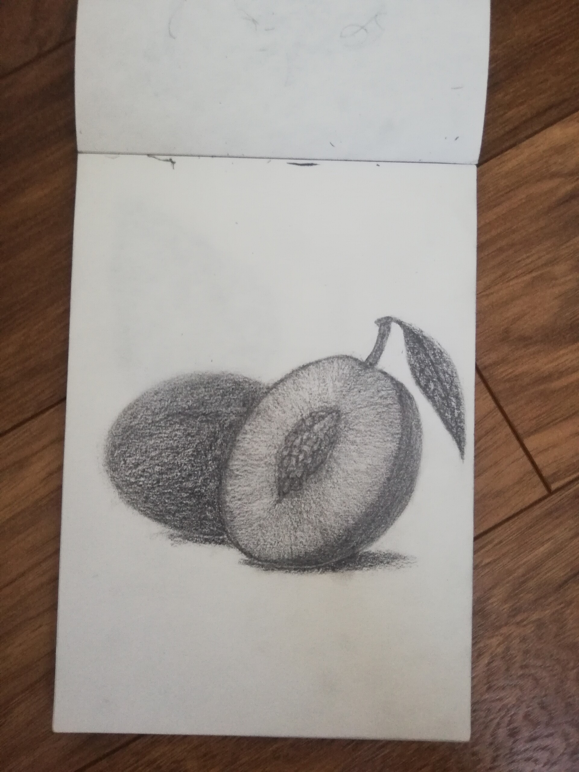 guava drawing shading