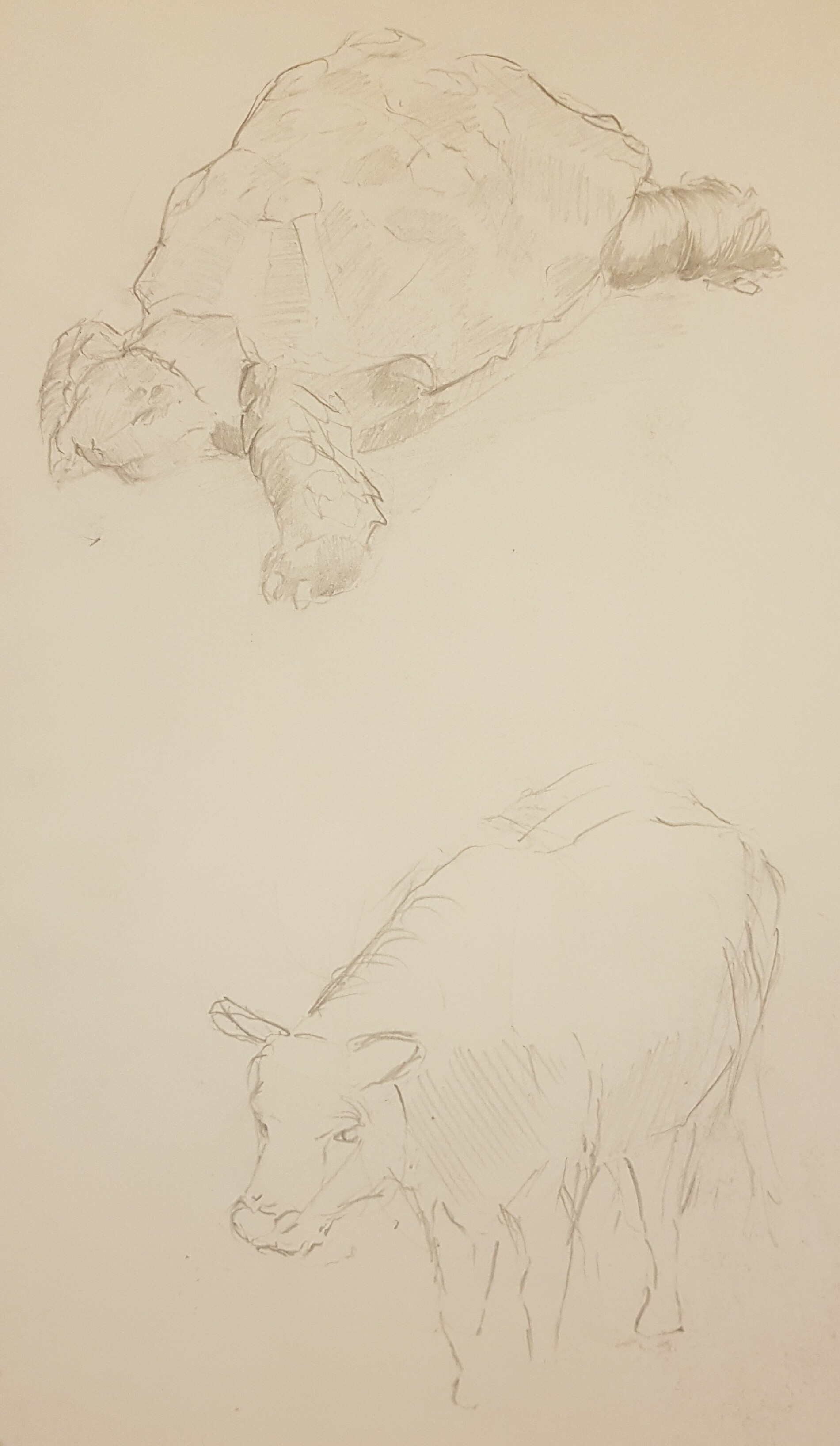 ArtStation - james mcalpin skatch book