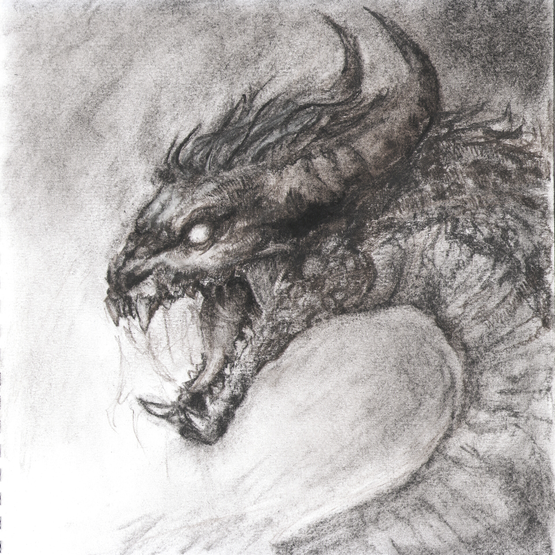 ArtStation - Charcoal study