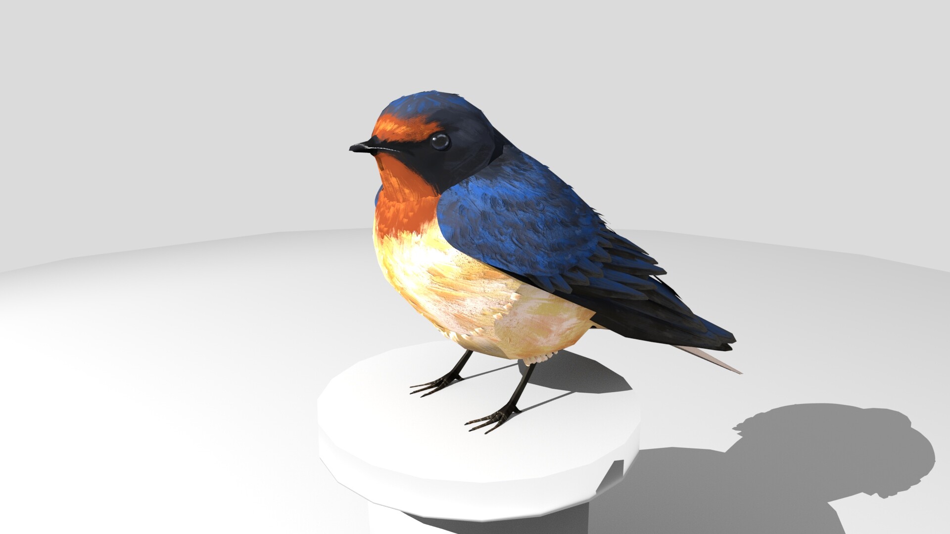 ArtStation - Swallow Bird - 3D Model and Animation