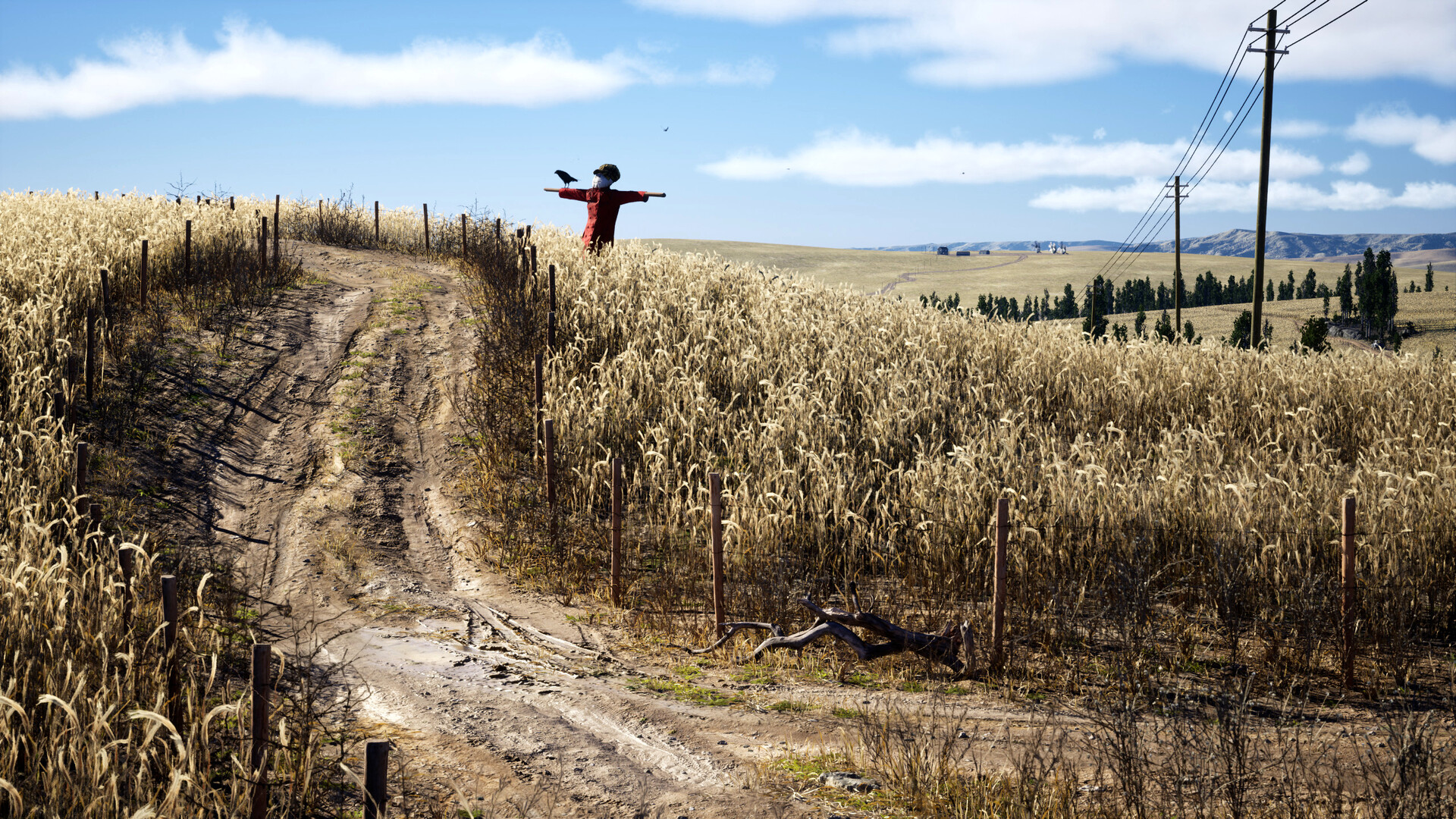 ArtStation - Wheat Fields