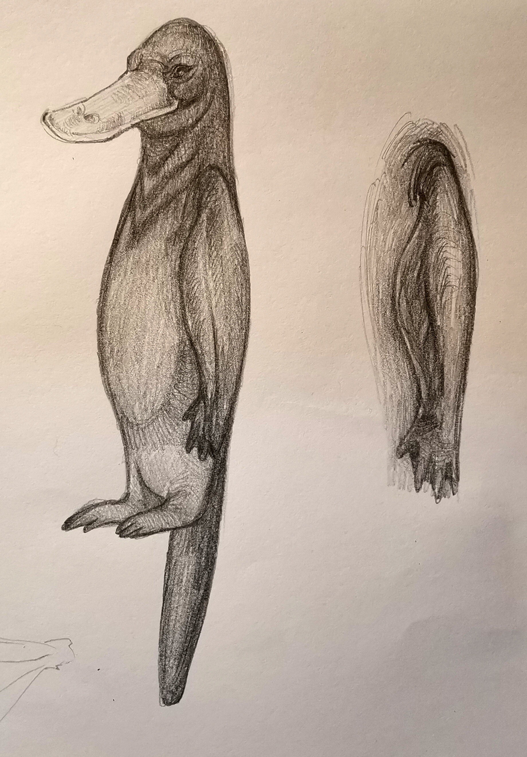 ArtStation - Creatures I design