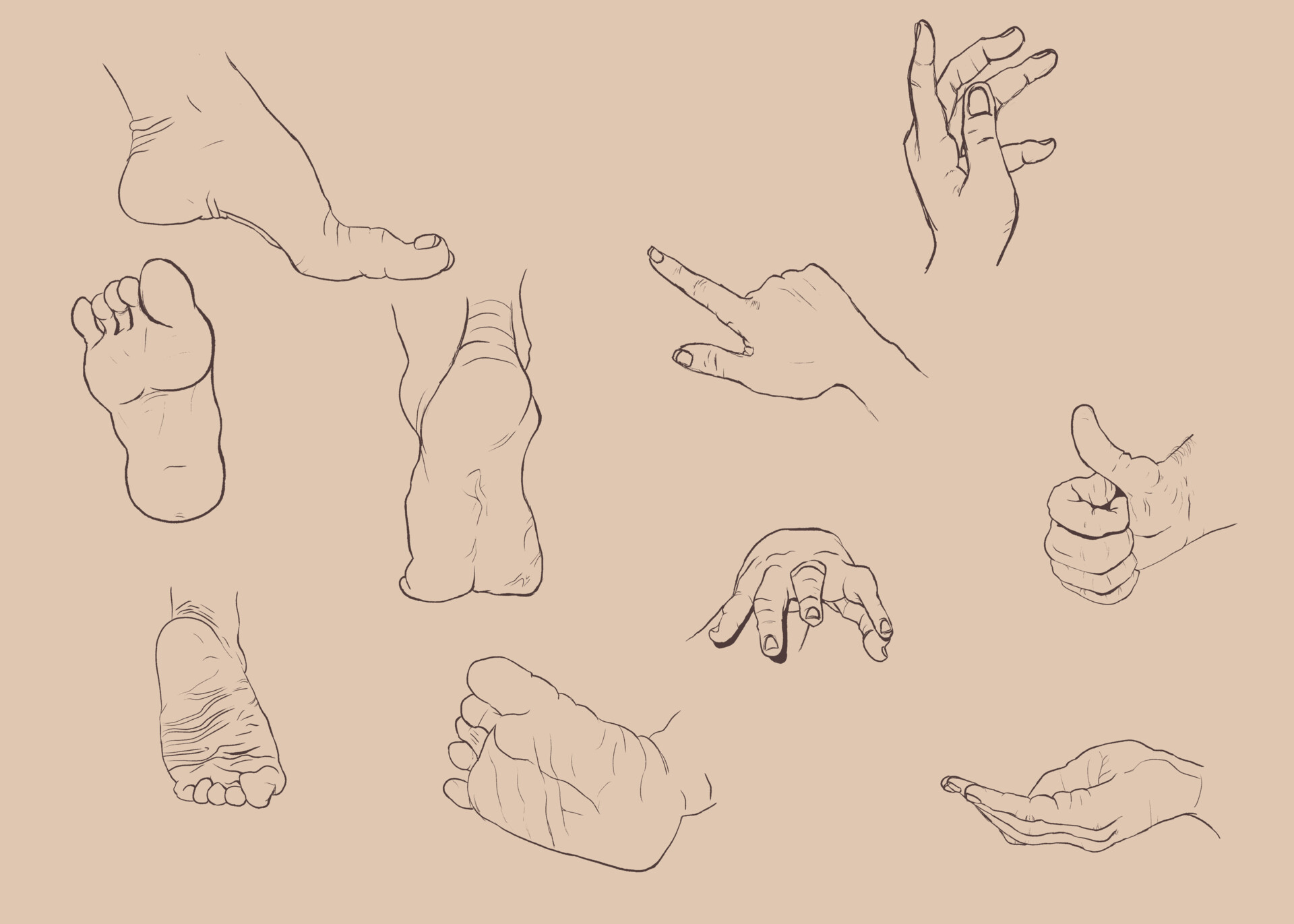 ArtStation - Hands and Feet