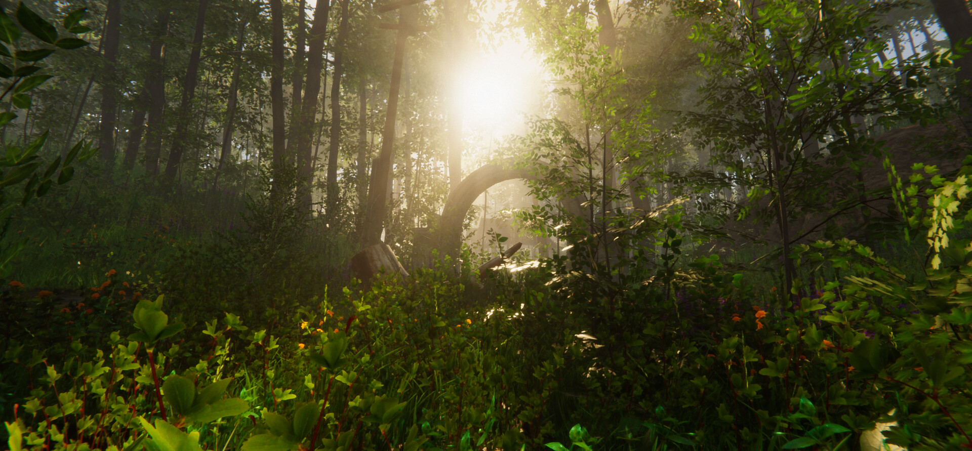 Ákos Kovács - Silent Woodlands - Morning (Unity HDRP)