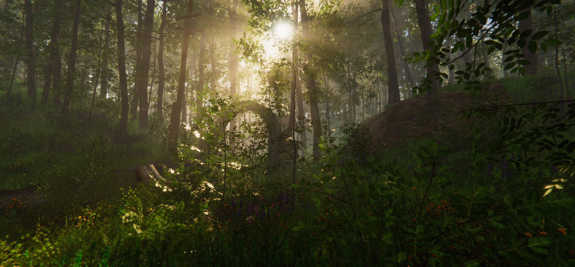 Ákos Kovács - Silent Woodlands - Morning (Unity HDRP)