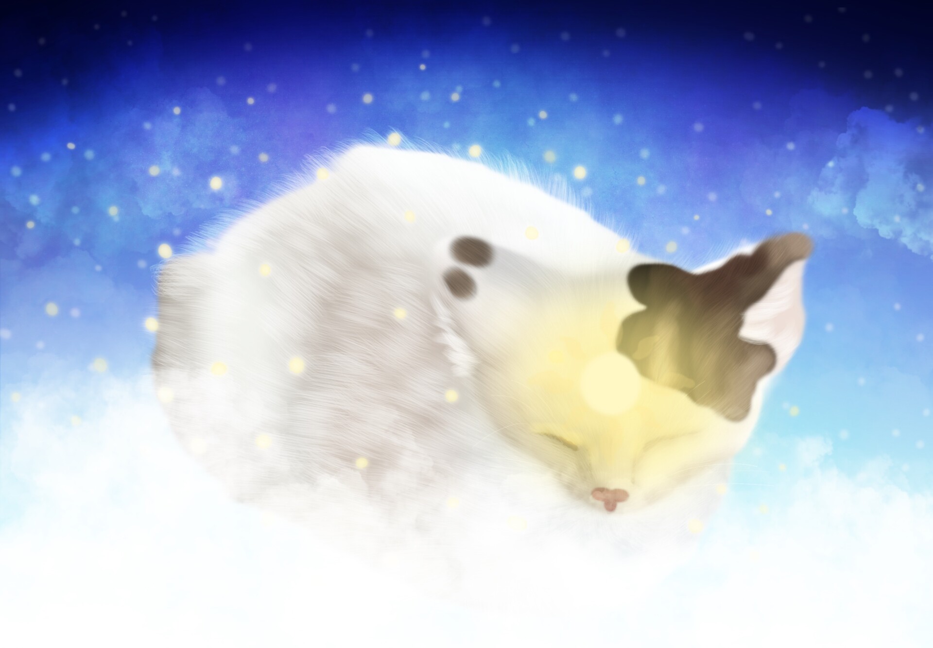 ArtStation - Cats in Different Media:Procreate