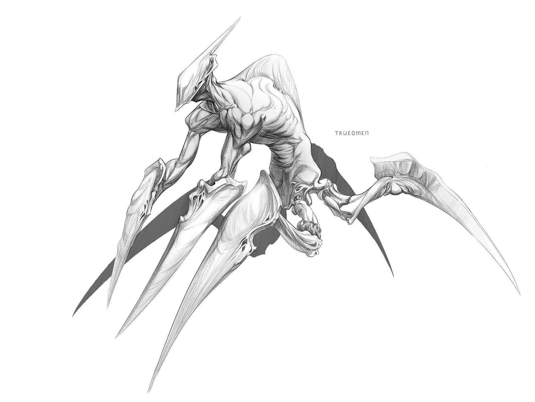 ArtStation - Spider creature