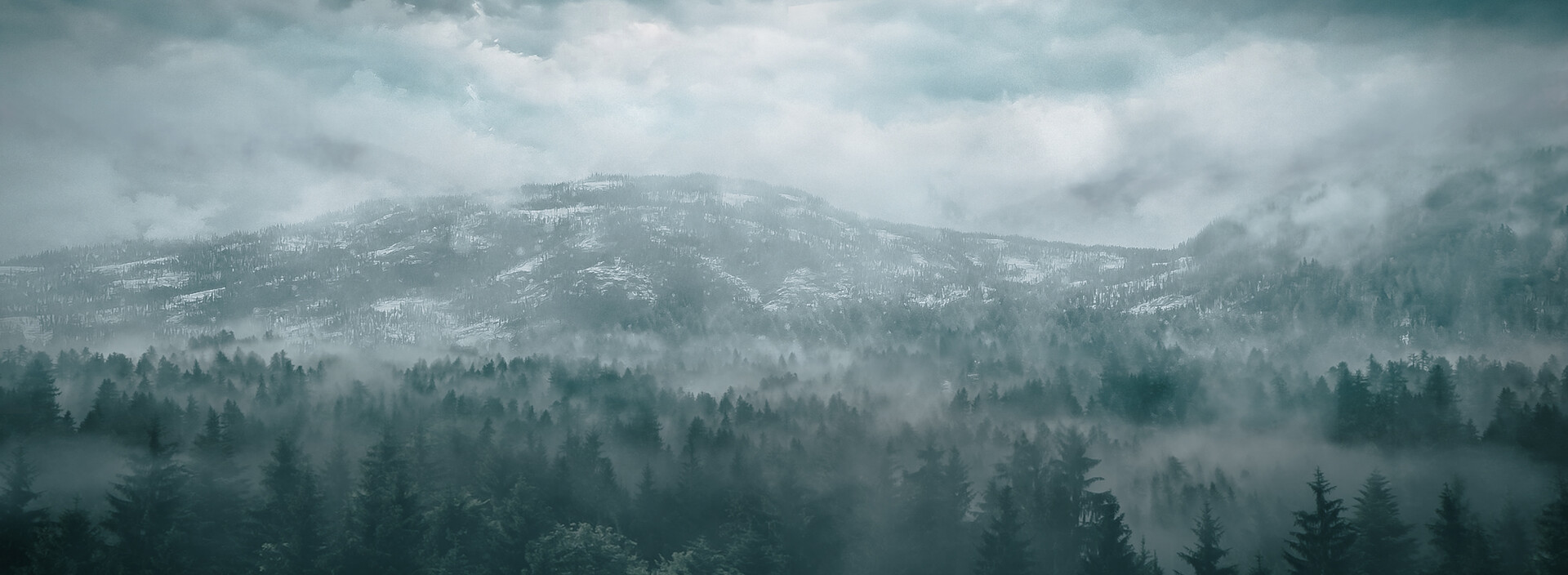 ArtStation - Foggy forest