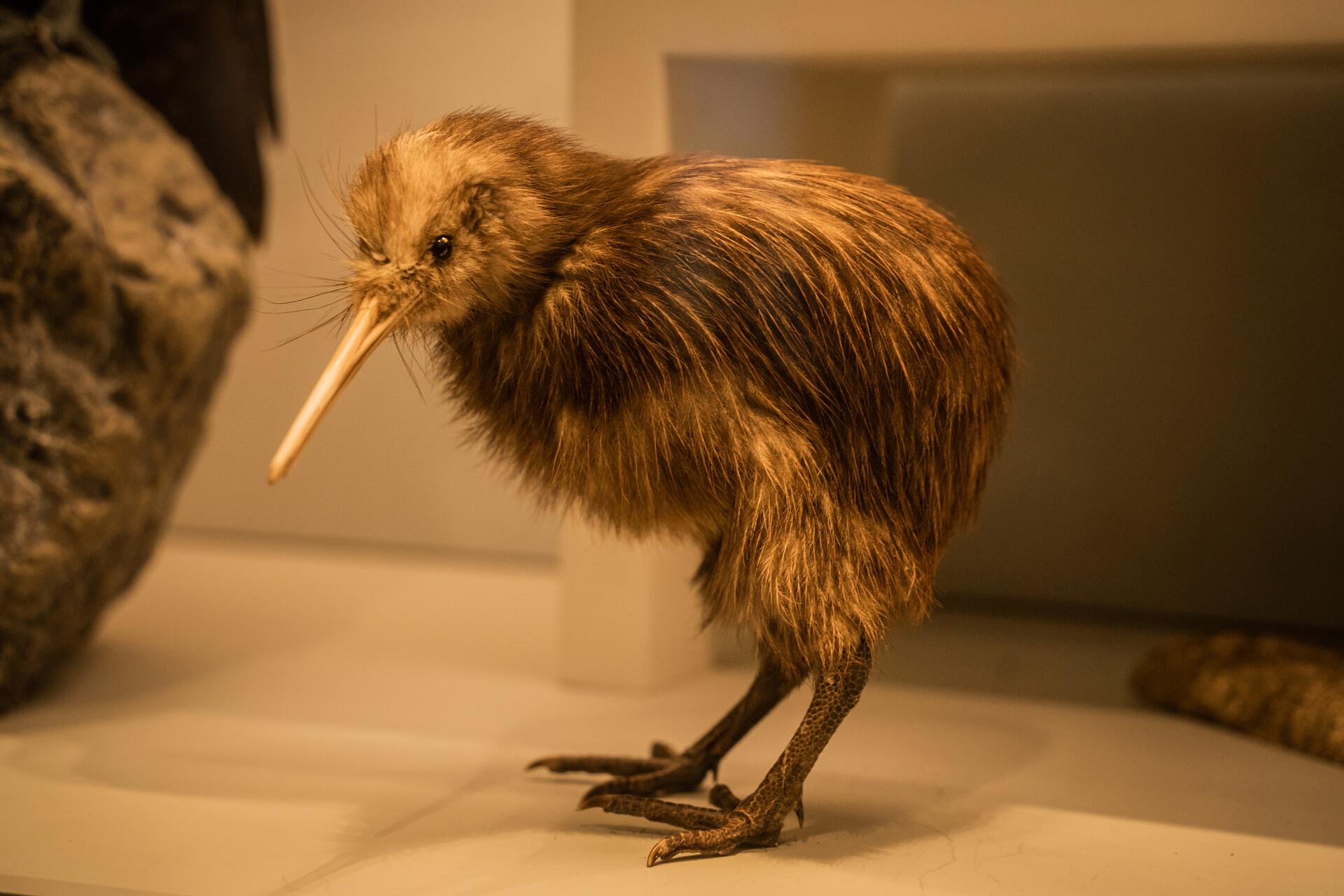 ArtStation - Capturing the essence of Te Papa Models Museum of New Zealand