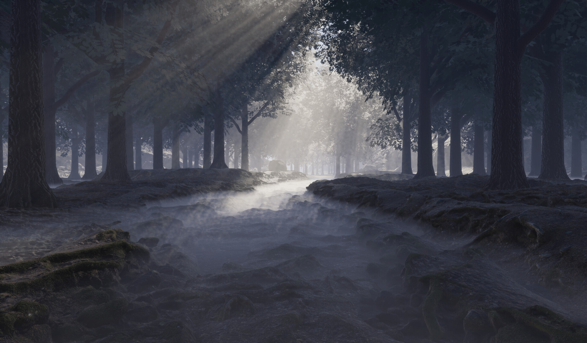 ArtStation - Misty ominous forest