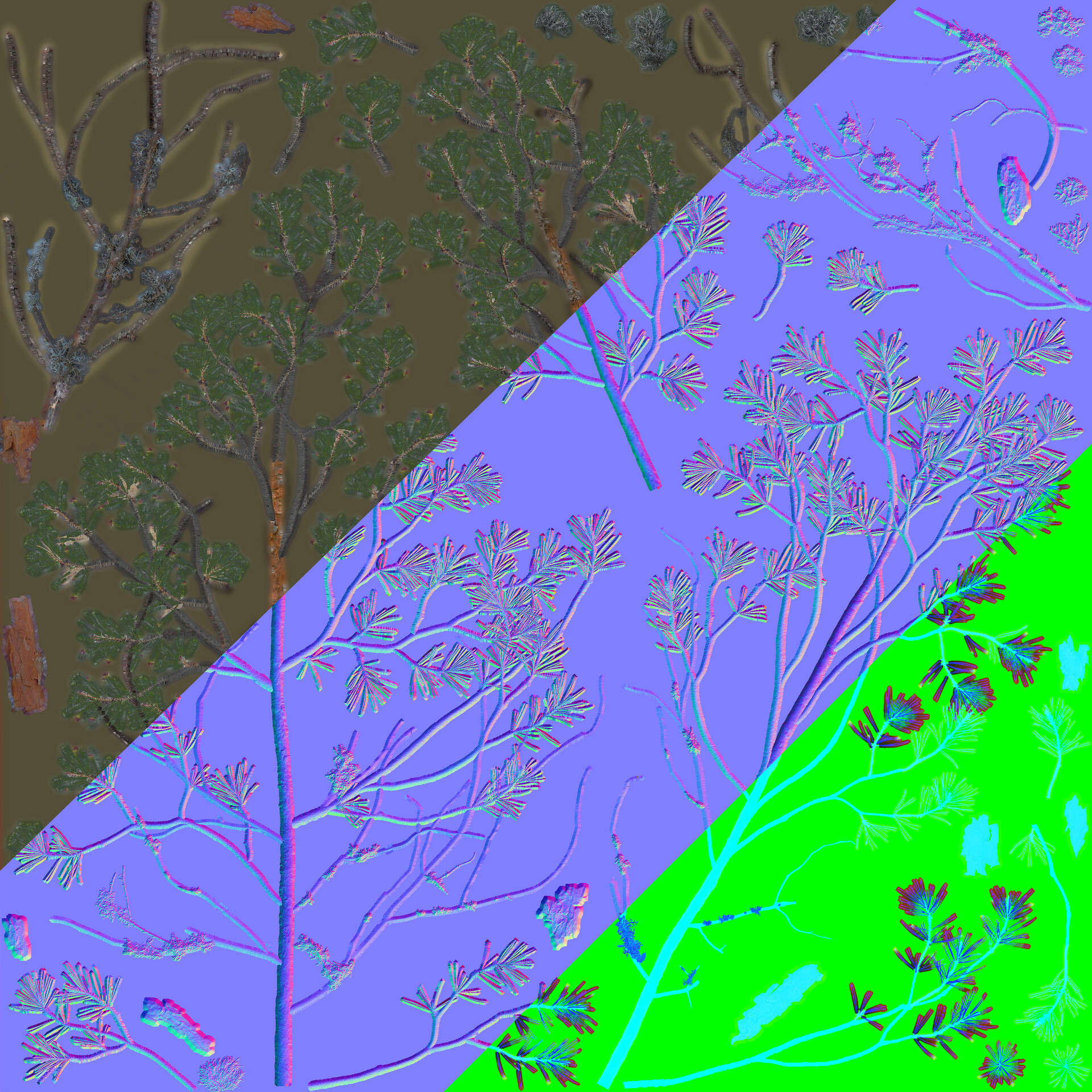 Mert Mimaroglu - Nordic AutoBiome - Scots Pine