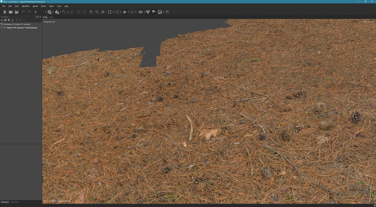 Mert Mimaroglu - Nordic AutoBiome - Scots Pine