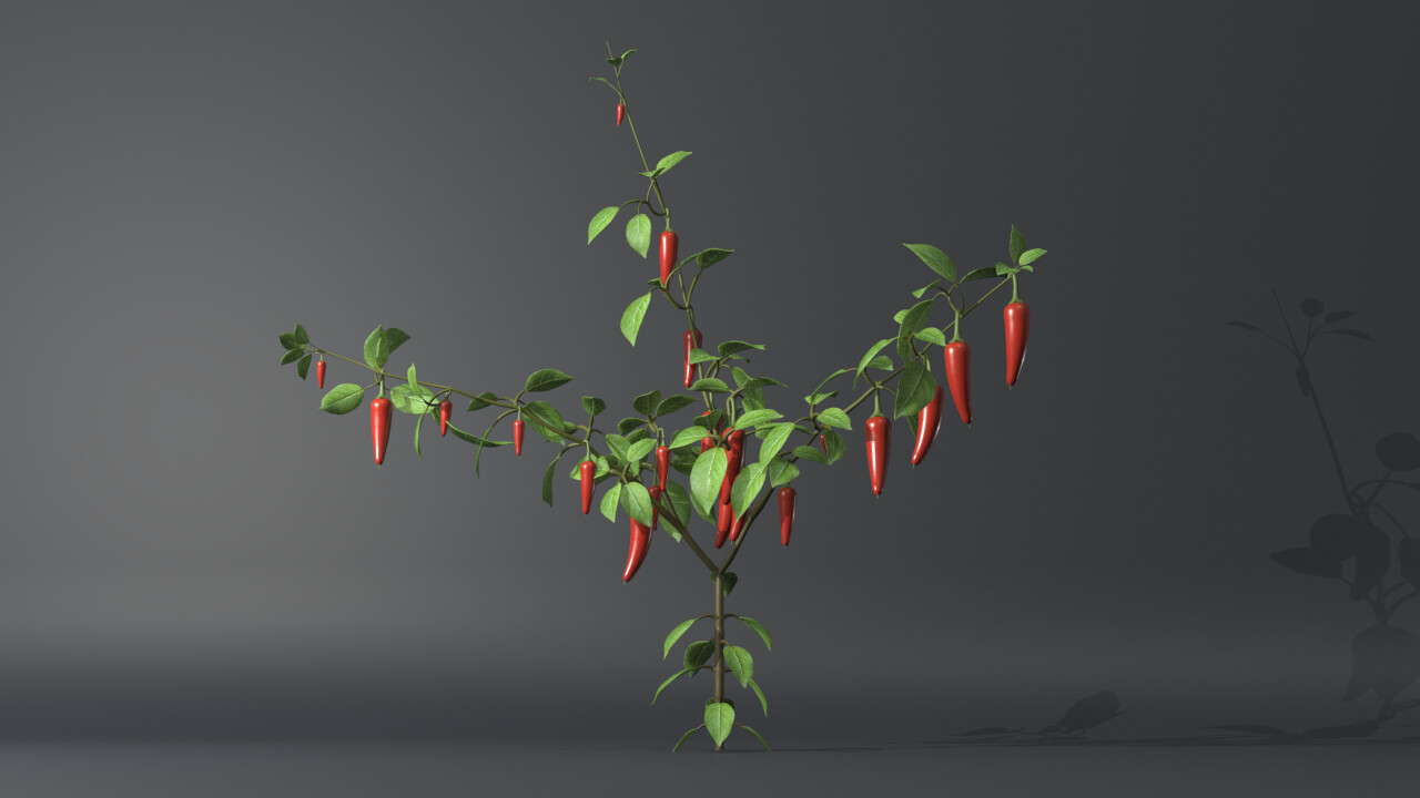 Animated Growing Plant