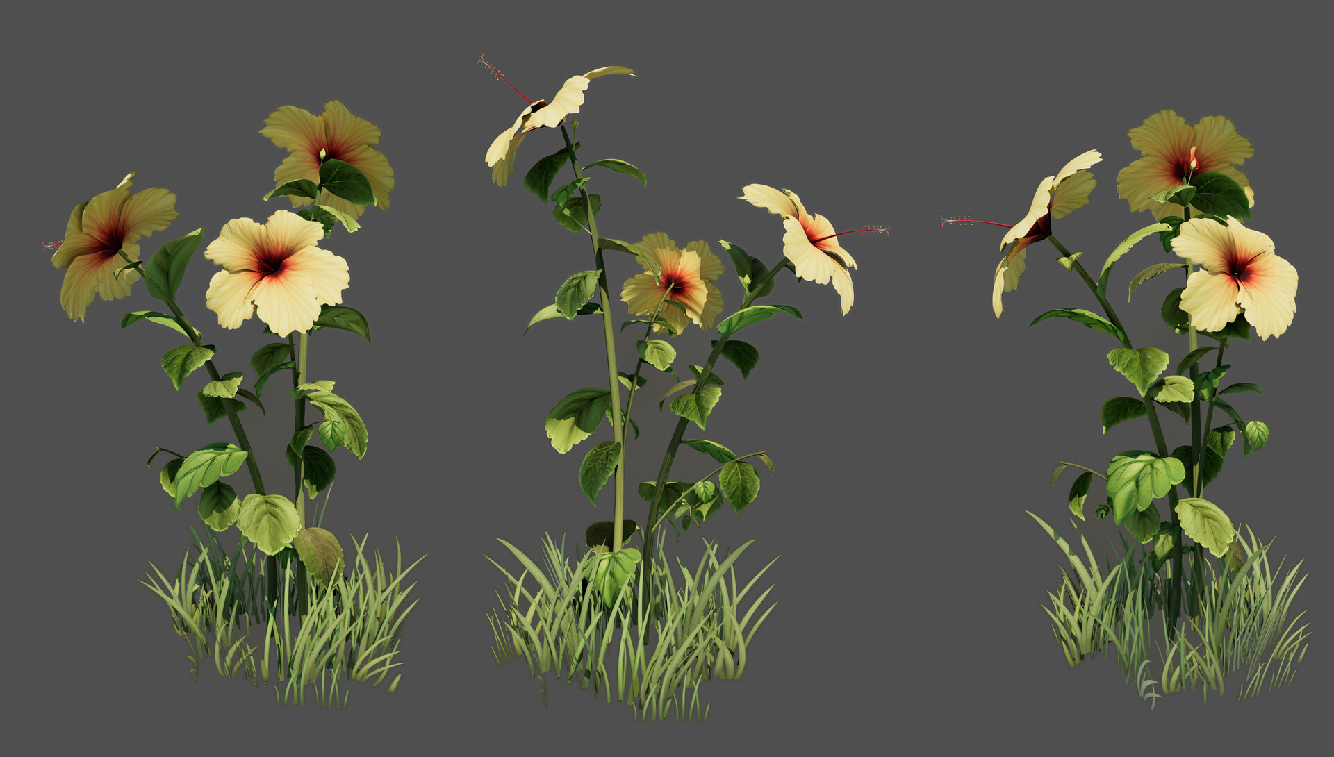 ArtStation - Yellow Hibiscus - 3D Model & Texture