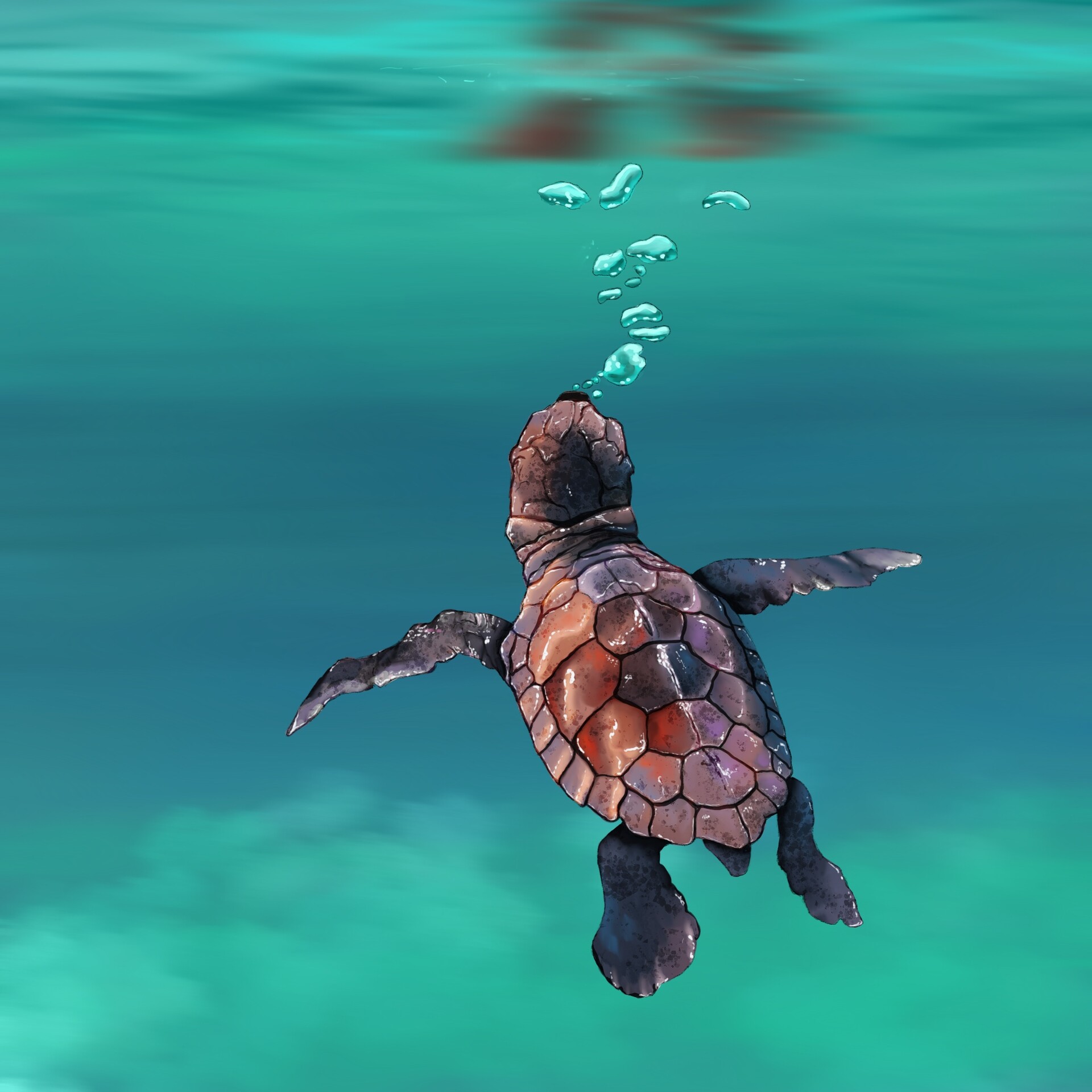 ArtStation - Little turtel