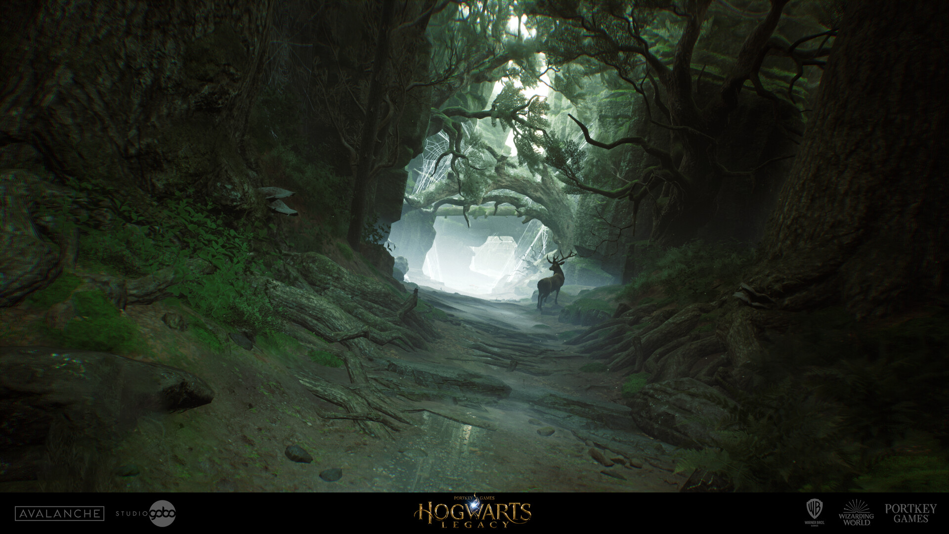 Paul Armstrong Art - Hogwarts Legacy - Forbidden Forest