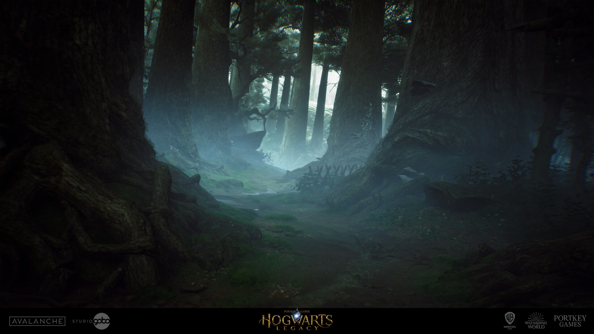 Paul Armstrong Art - Hogwarts Legacy - Forbidden Forest