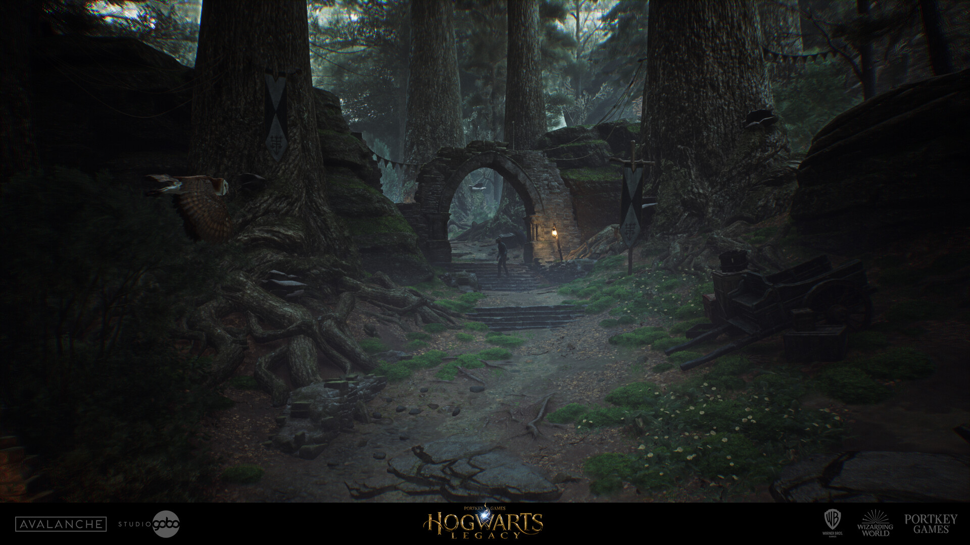 Paul Armstrong Art - Hogwarts Legacy - Forbidden Forest