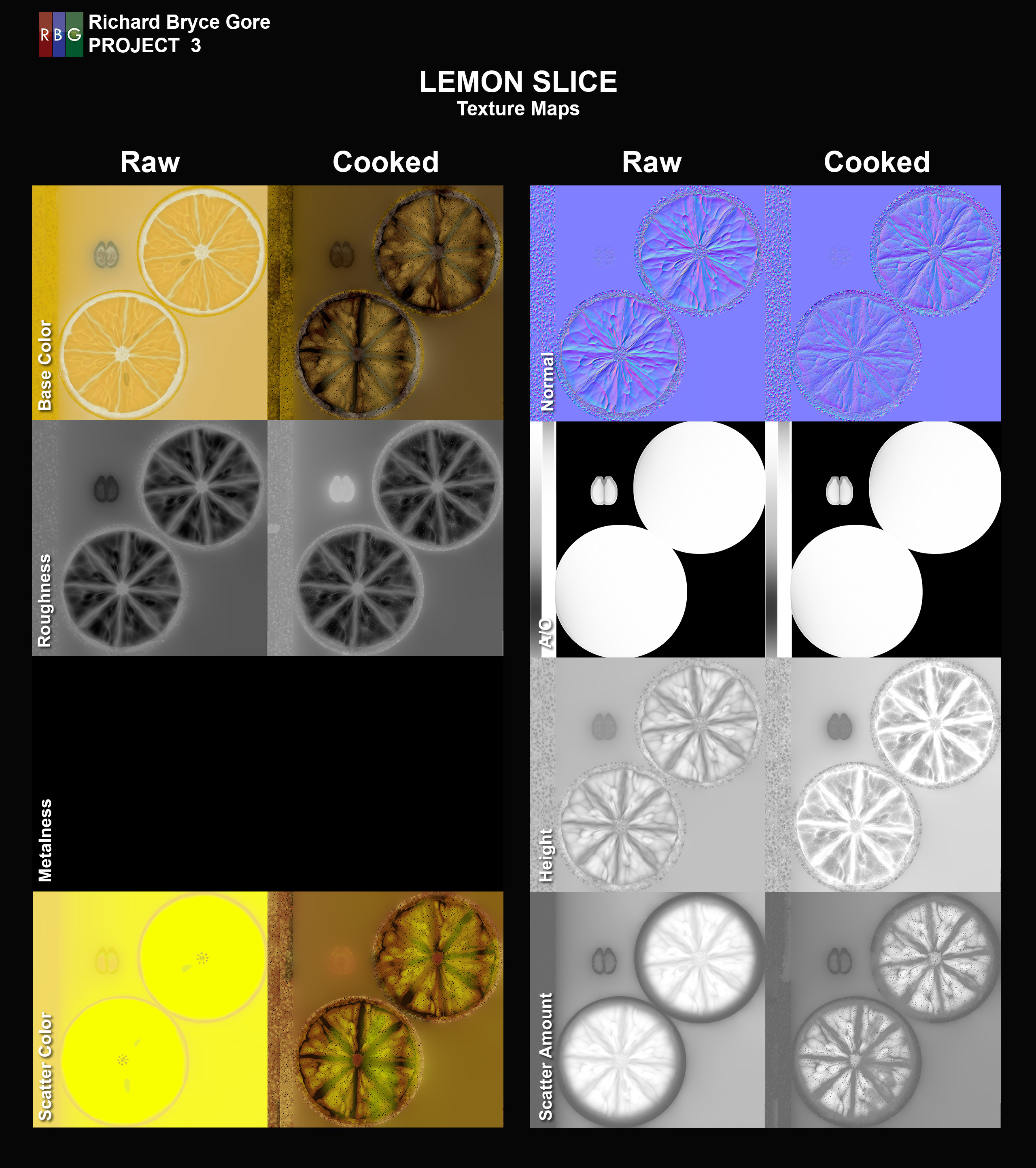 Richard Bryce Gore - Salmon Steak: Organic Material Study