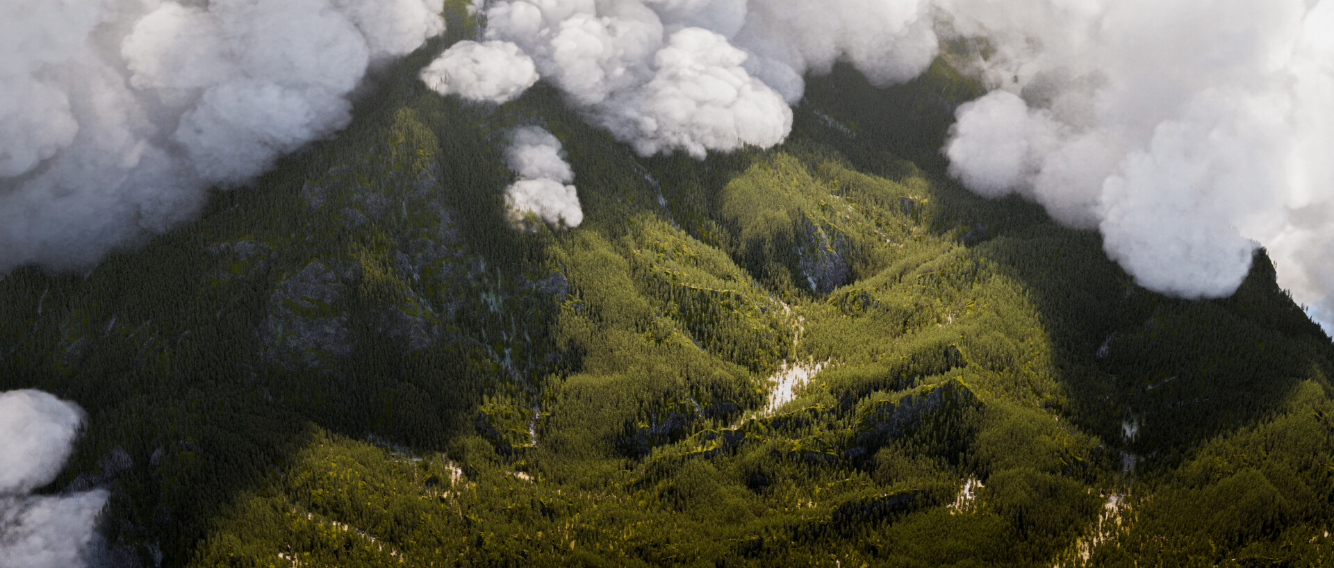 massimo verona - Gaea Study