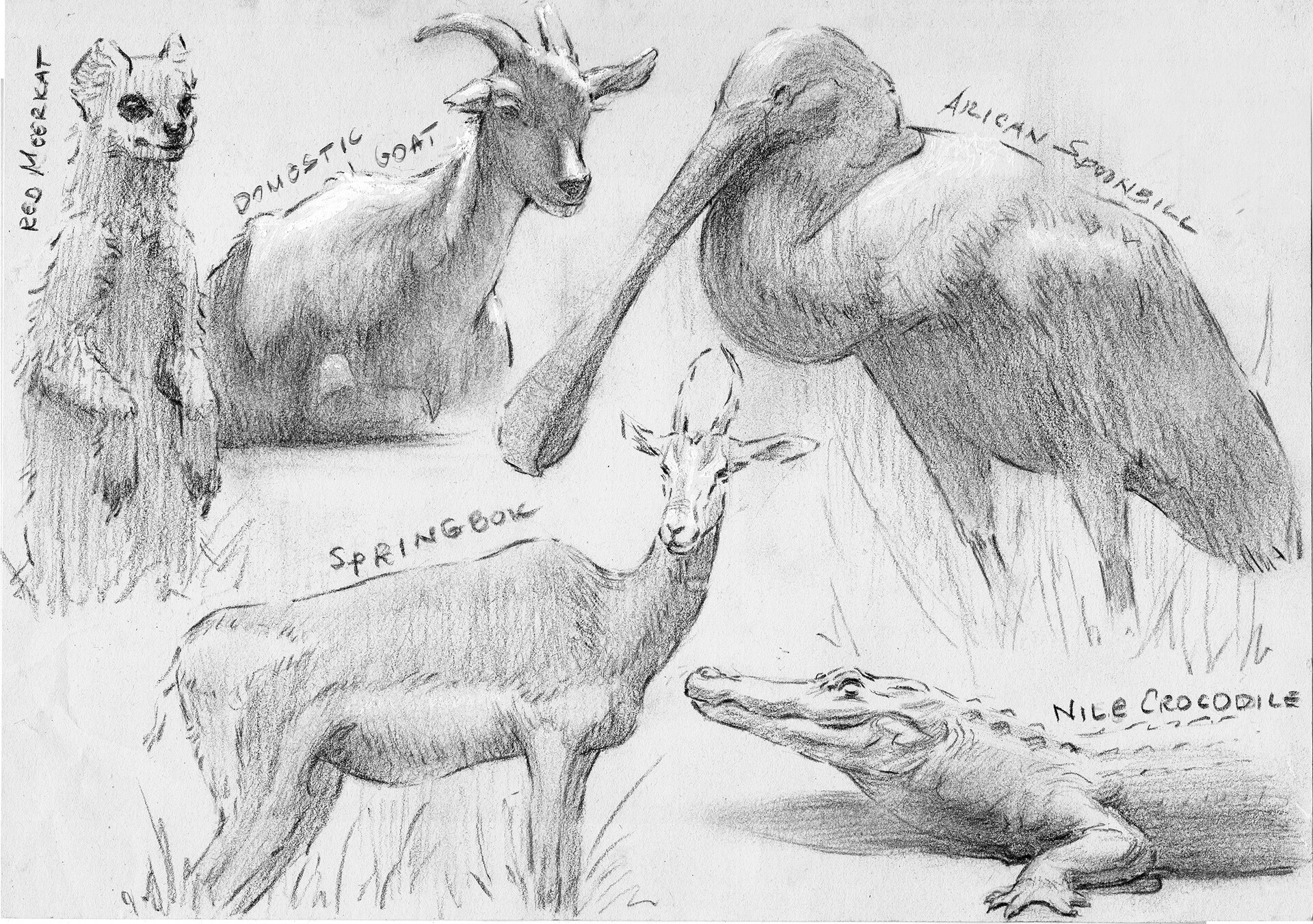 ArtStation - sketches