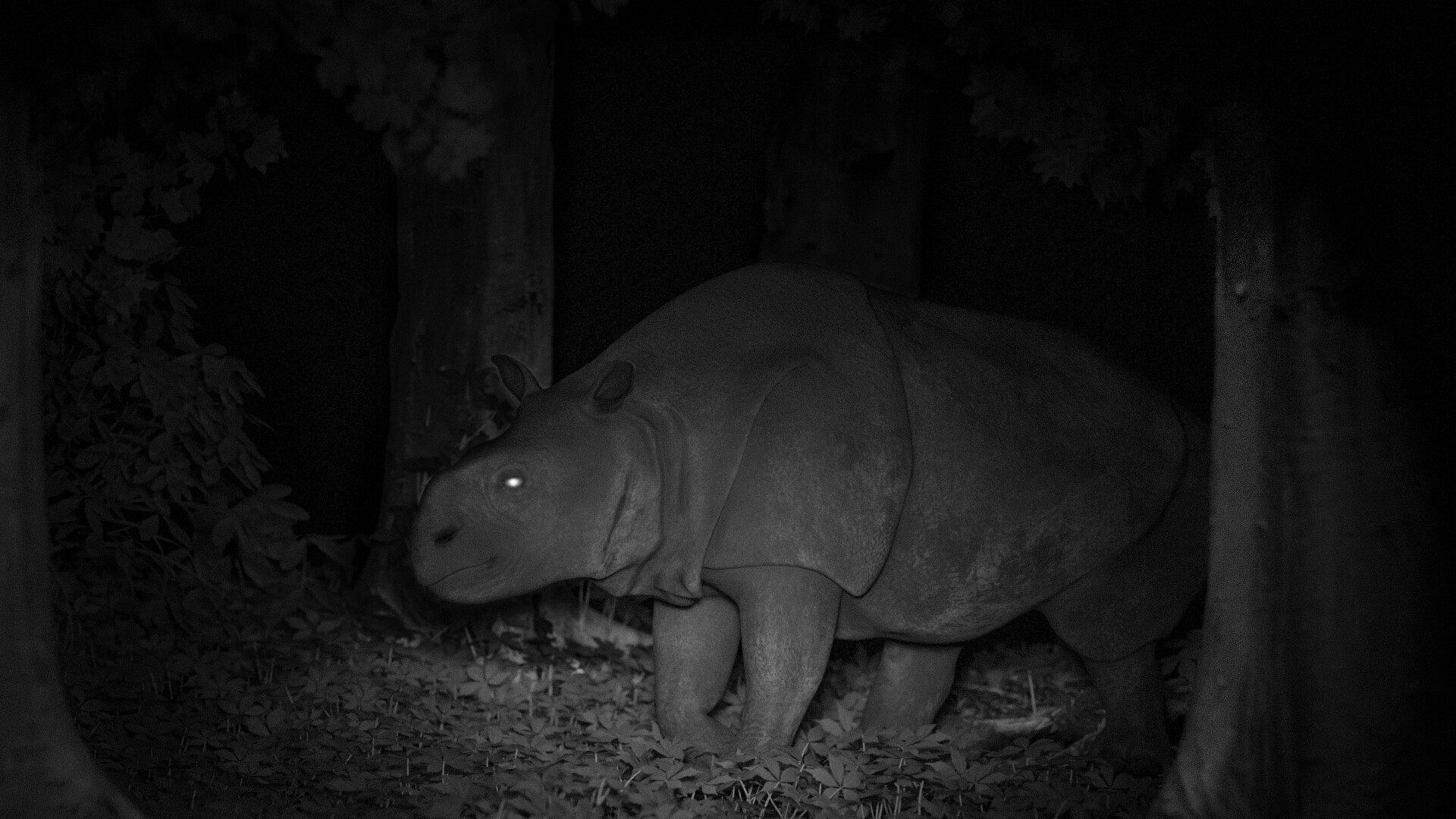 ArtStation - Teleoceras aepysoma caught on a trail cam