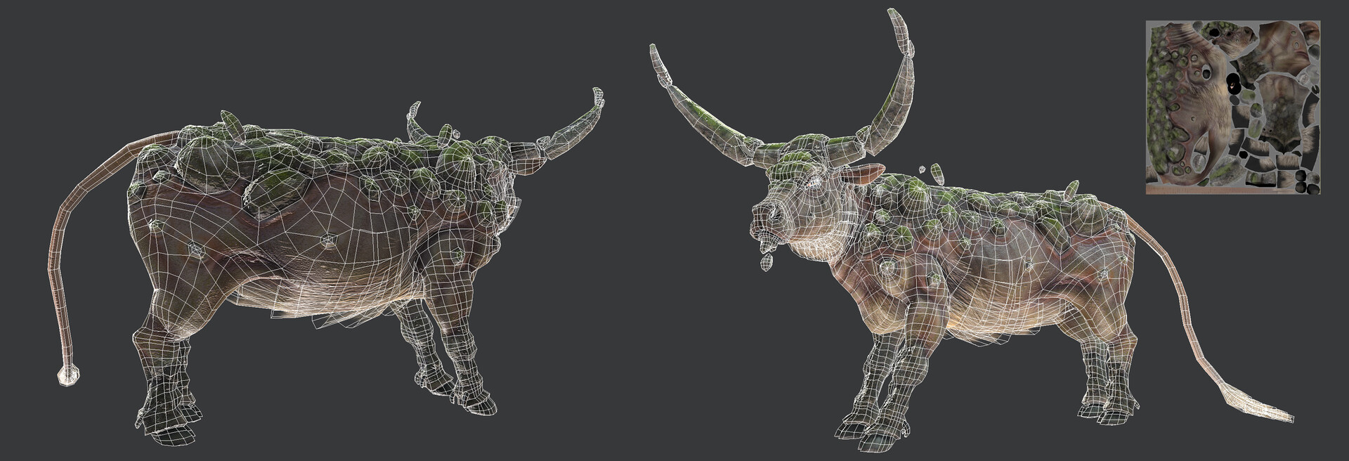 Drew Mitchell - Quarry Horn