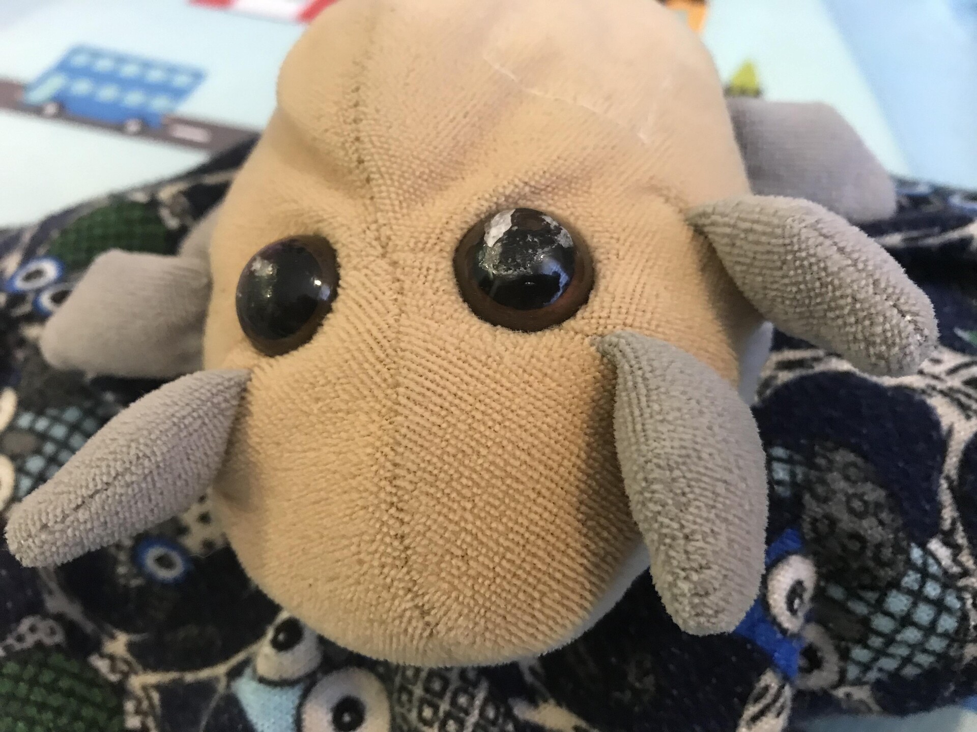 ArtStation - Bubu With Hat