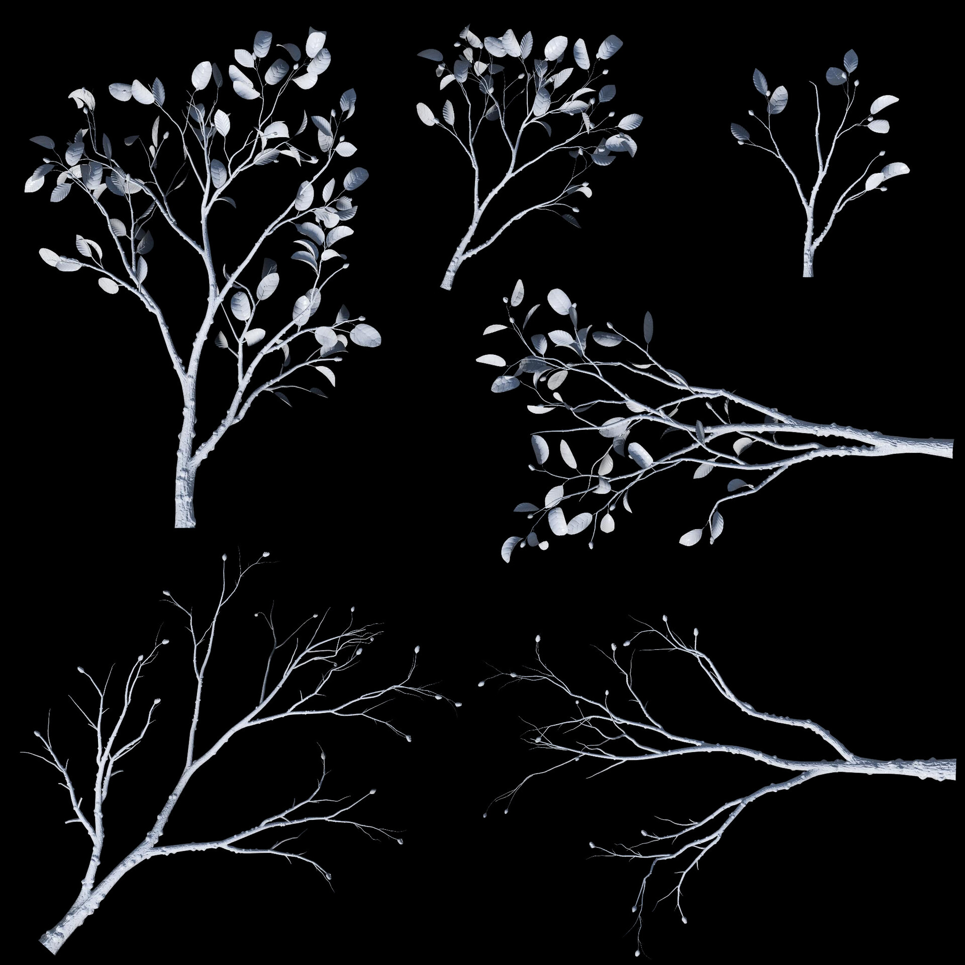 GMpeanut . - Forest Village