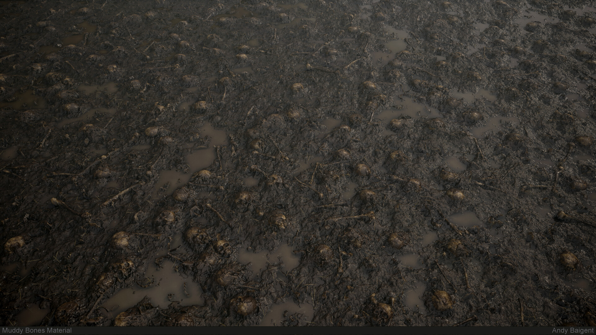 Andy Baigent | Sr. Environment Artist - Muddy Bones Material
