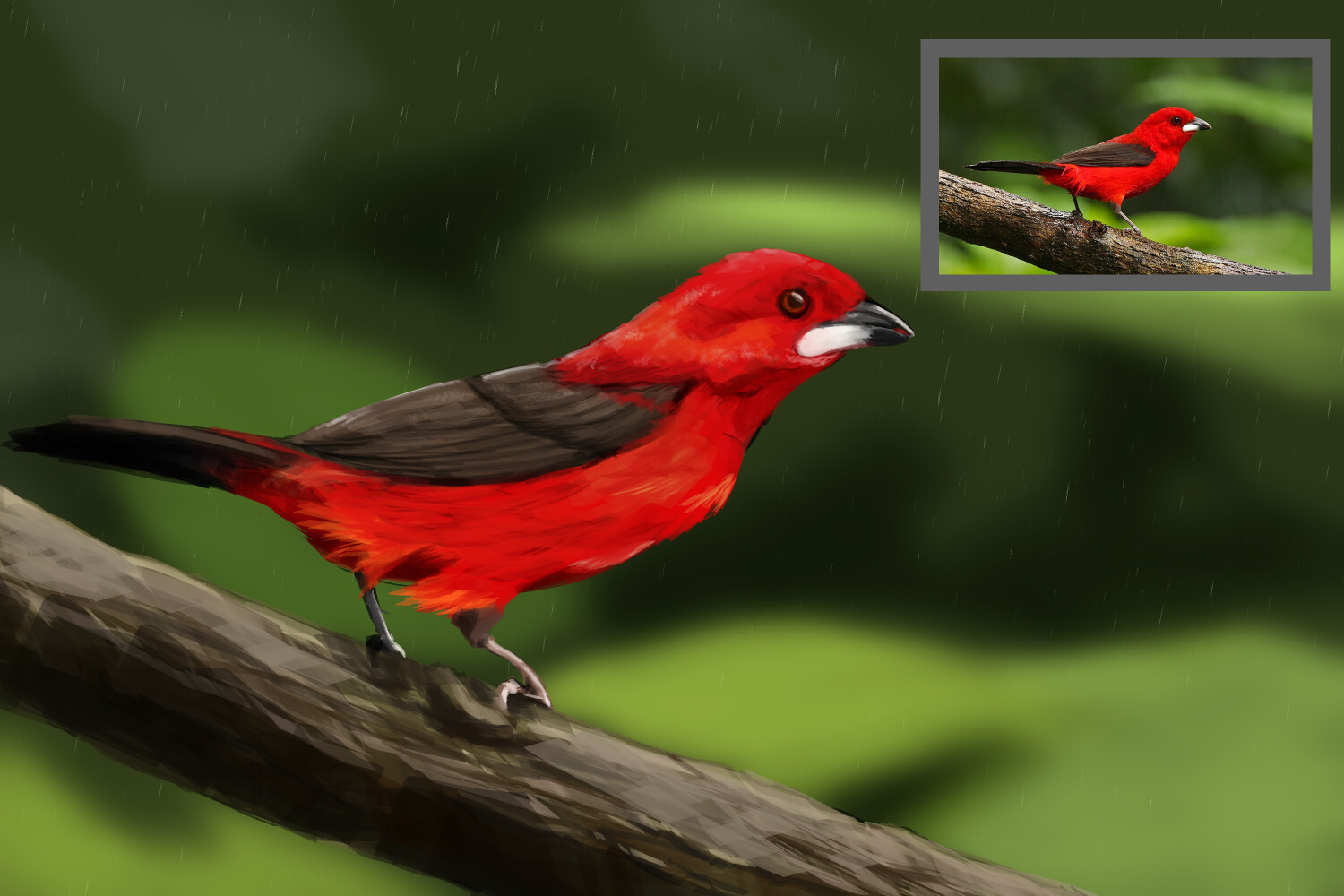 ArtStation - Varied Studies