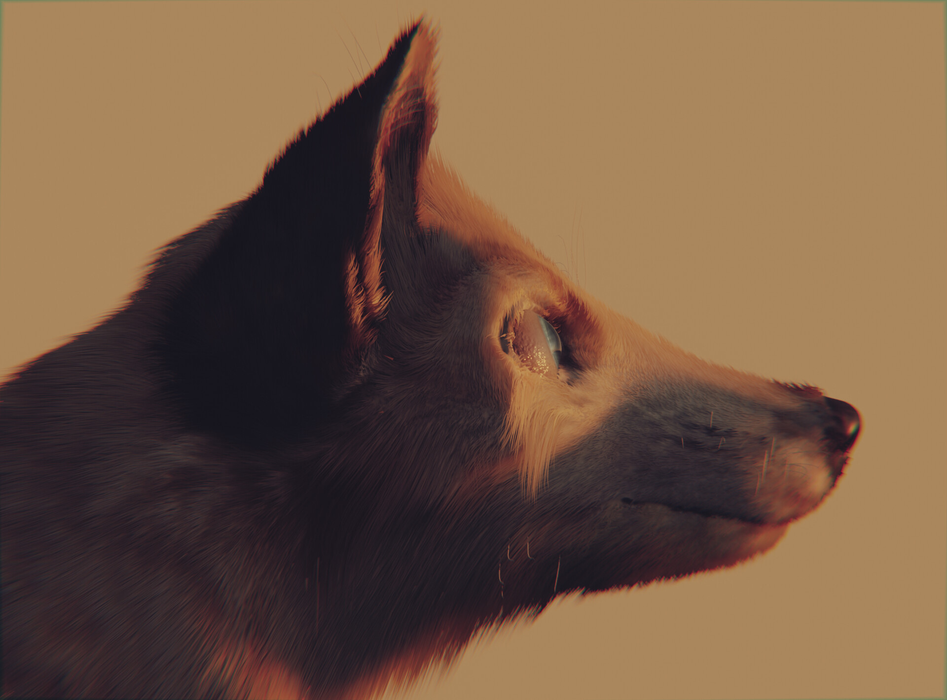 ArtStation - Fox head