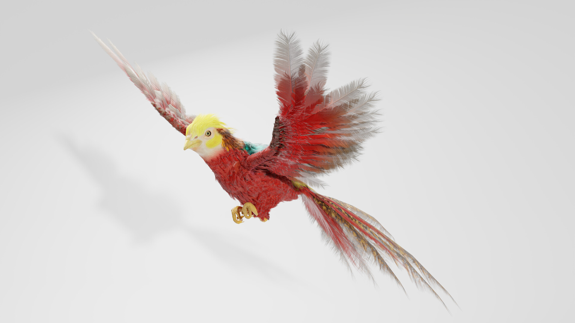 Rowan Buchanan - Golden Pheasant - The Rookies Submission 2023