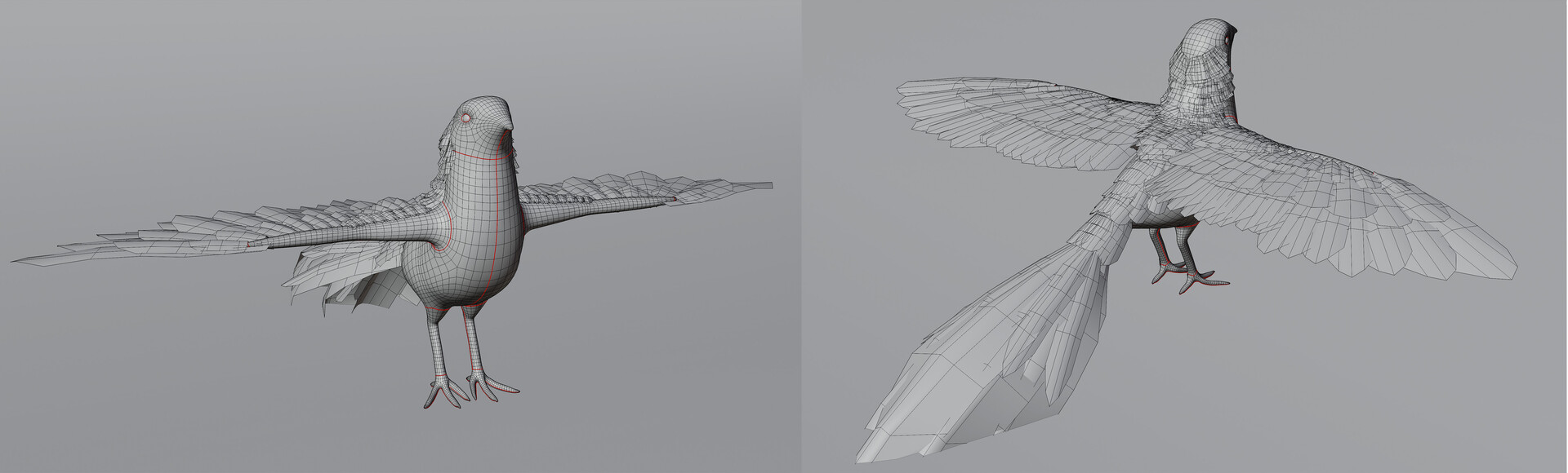 Rowan Buchanan - Golden Pheasant - The Rookies Submission 2023