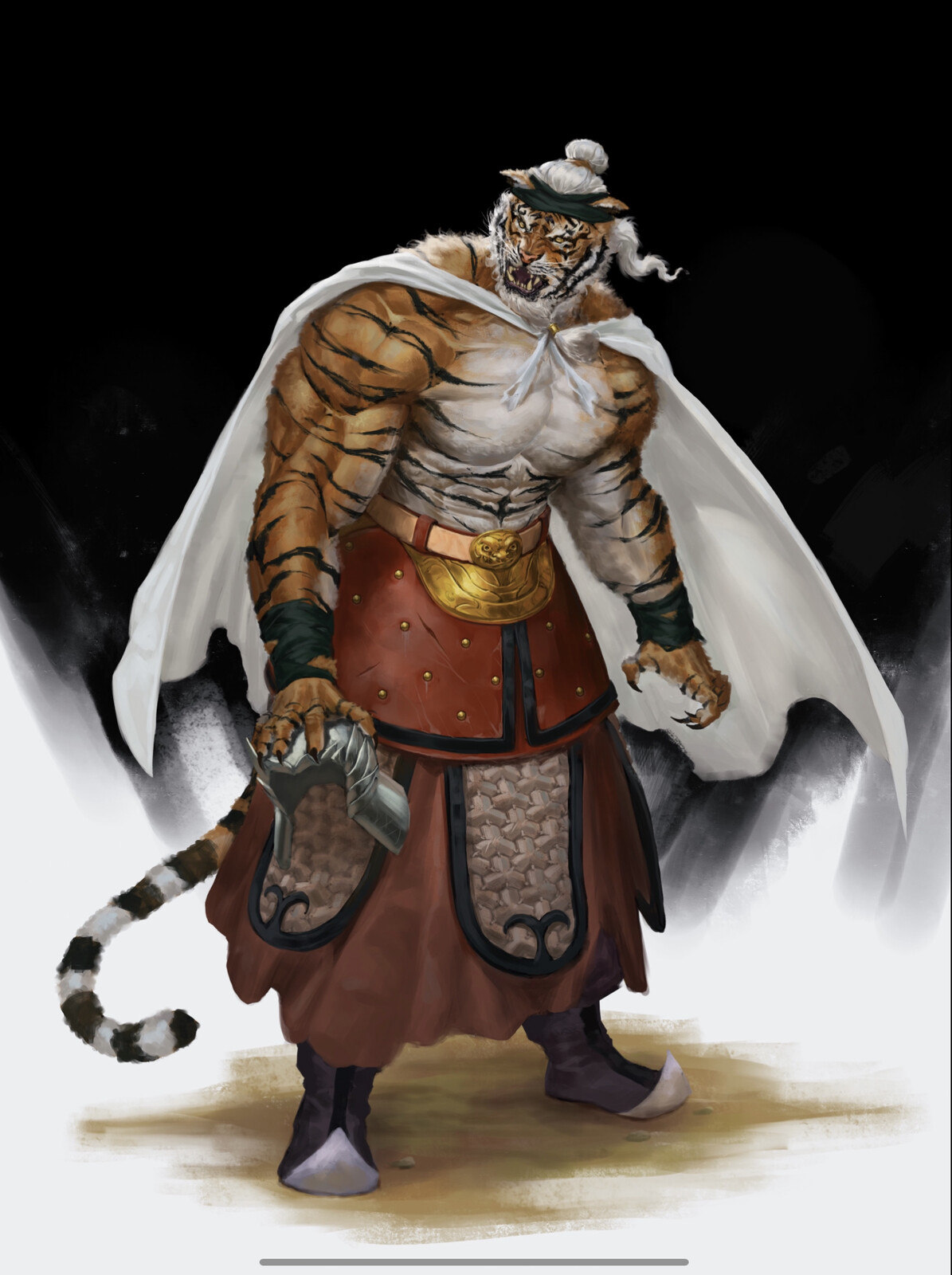 Dat Phan - Mr Thirty