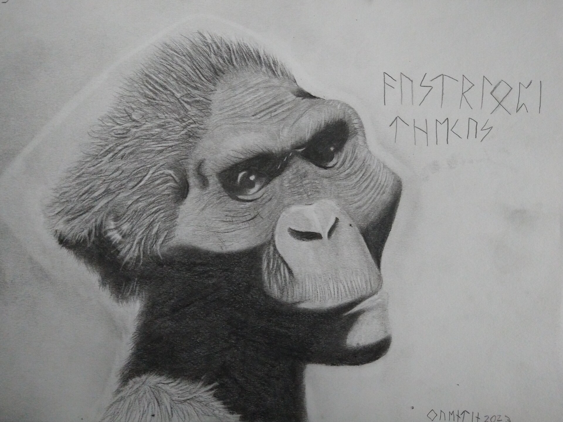 Australopithecus Afarensis Drawing