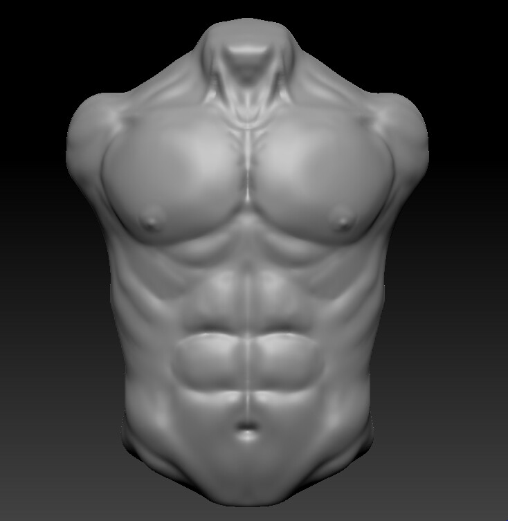 ArtStation - torso 3d model