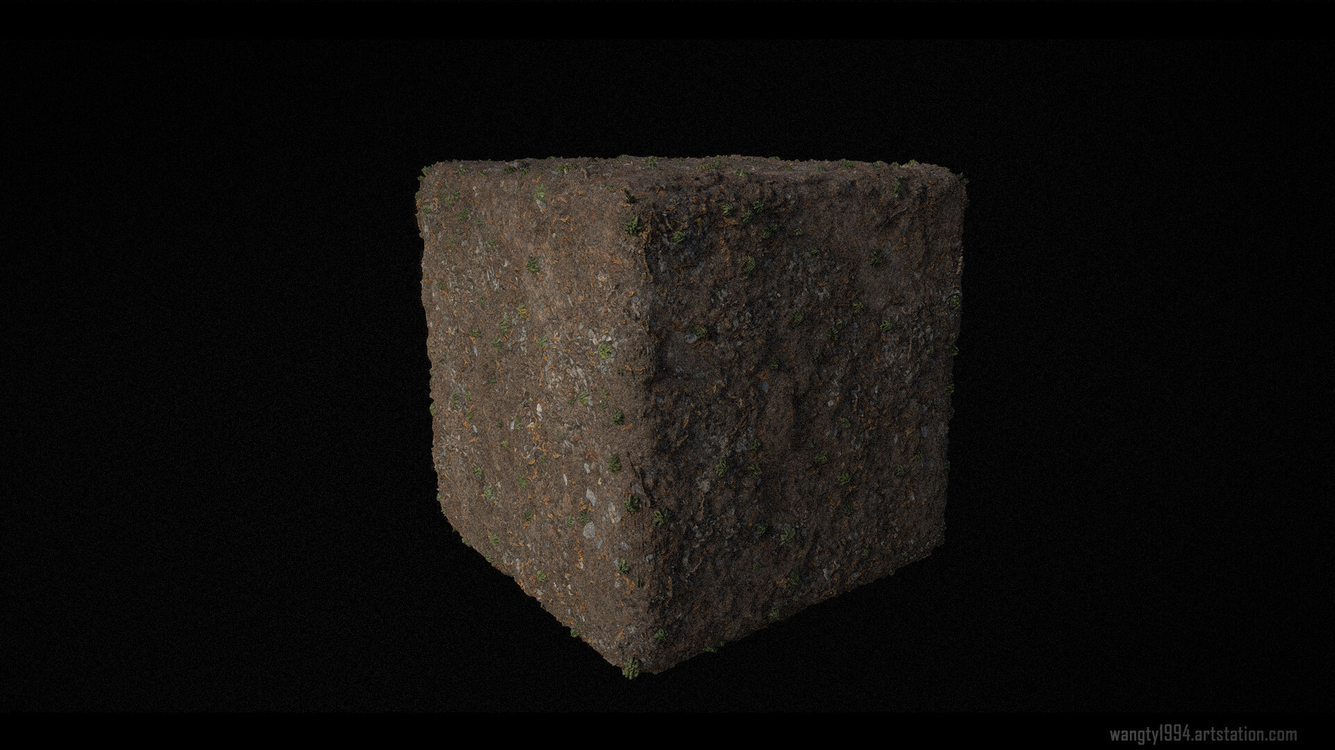 Tianyu Wang - Leafy Ground Material Study