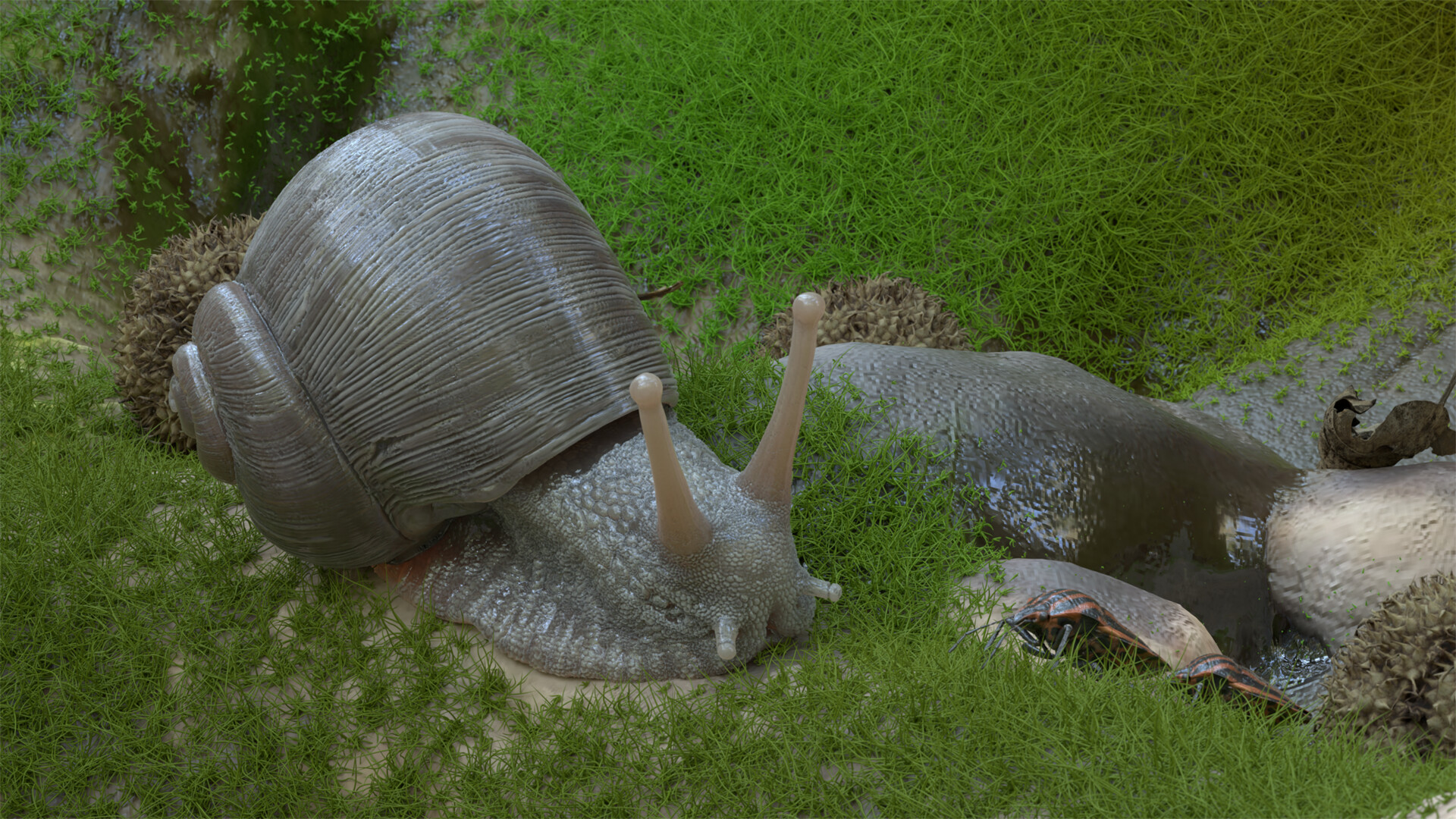 ArtStation - Giant Snail