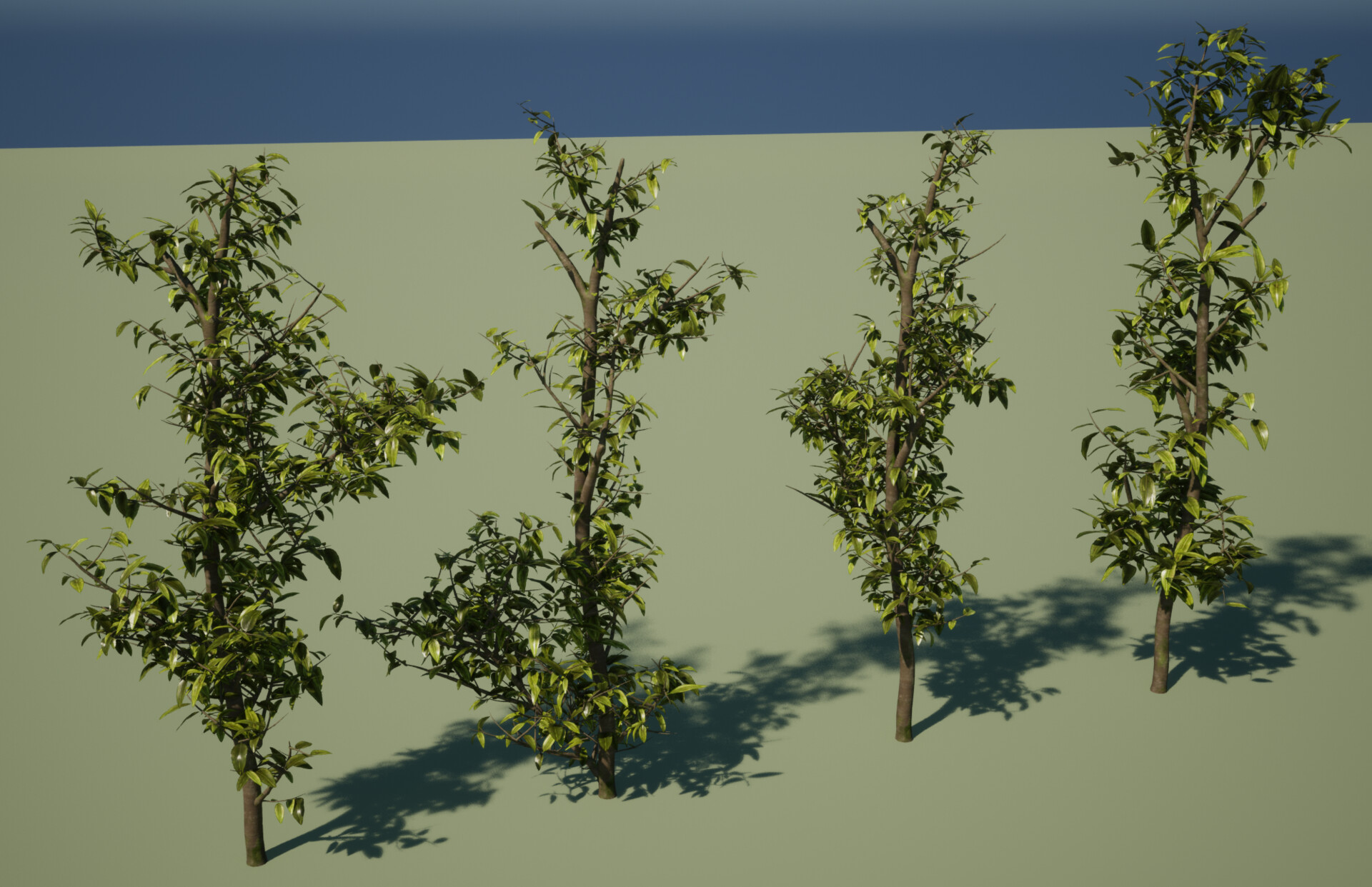 Piet Prager - Procedural Trees in Houdini | Honours Project