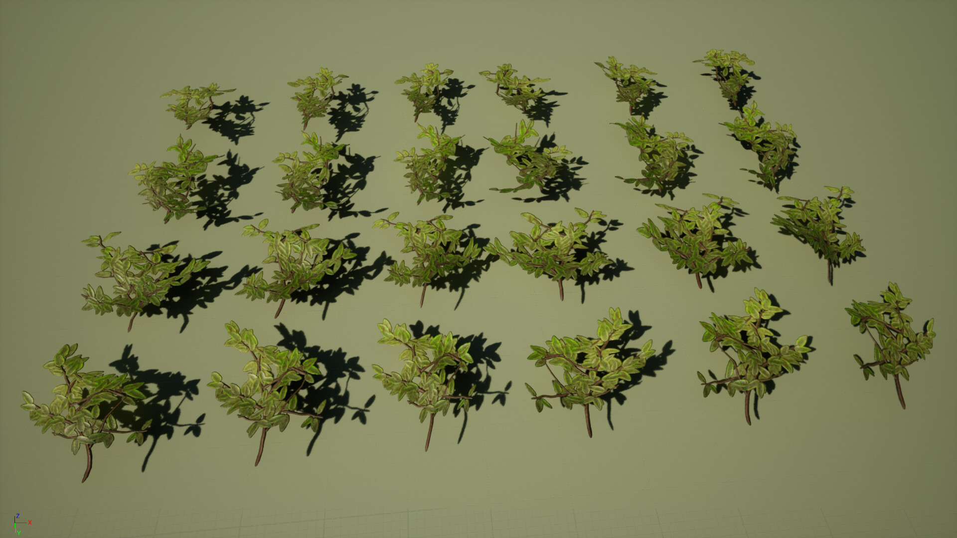 Piet Prager - Procedural Trees in Houdini | Honours Project