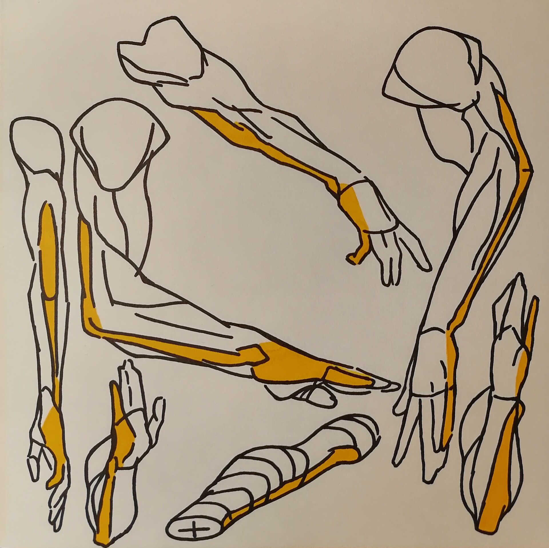 ArtStation - Anatomy Studies