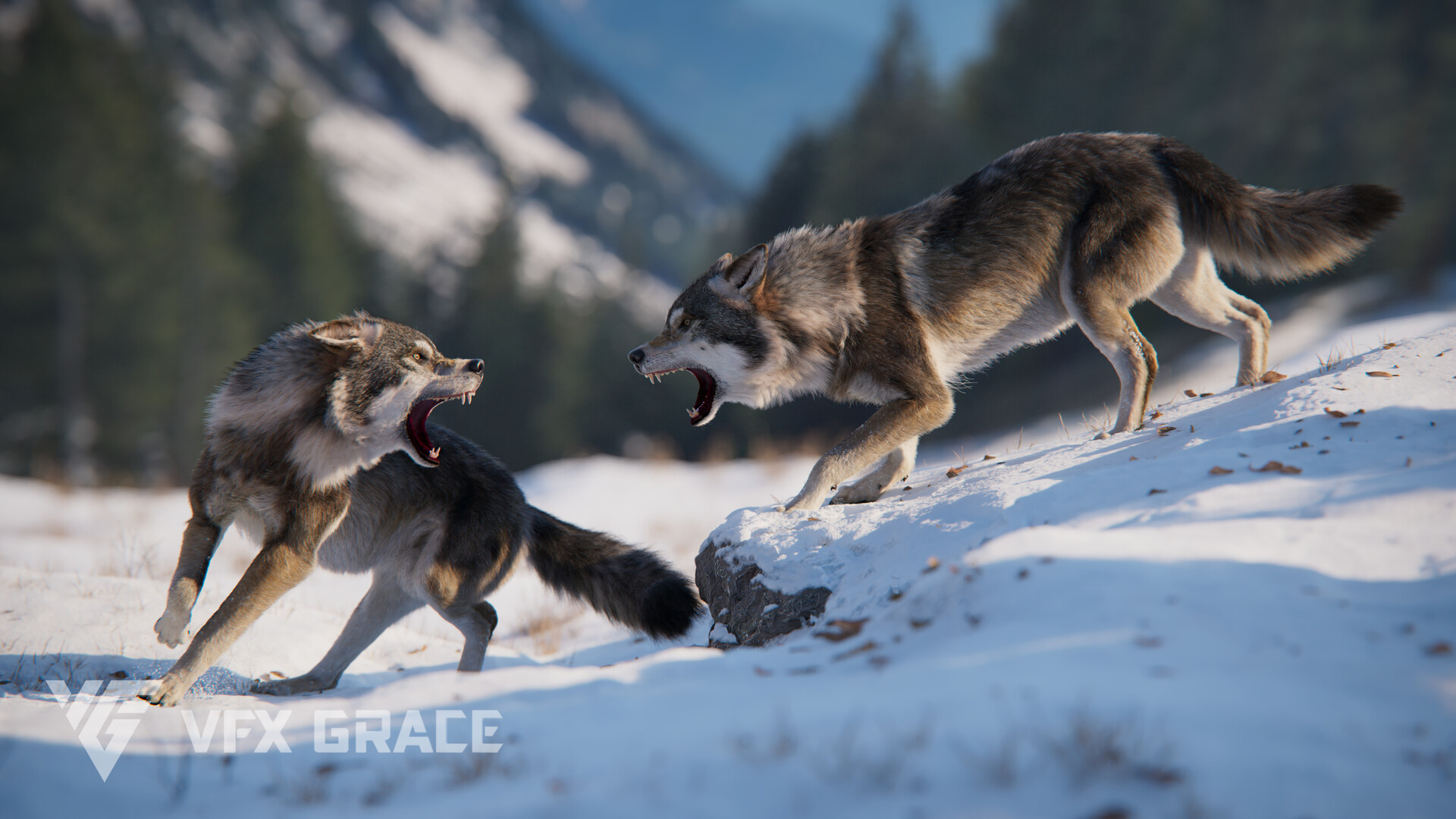 Running Wolf Pack Animation