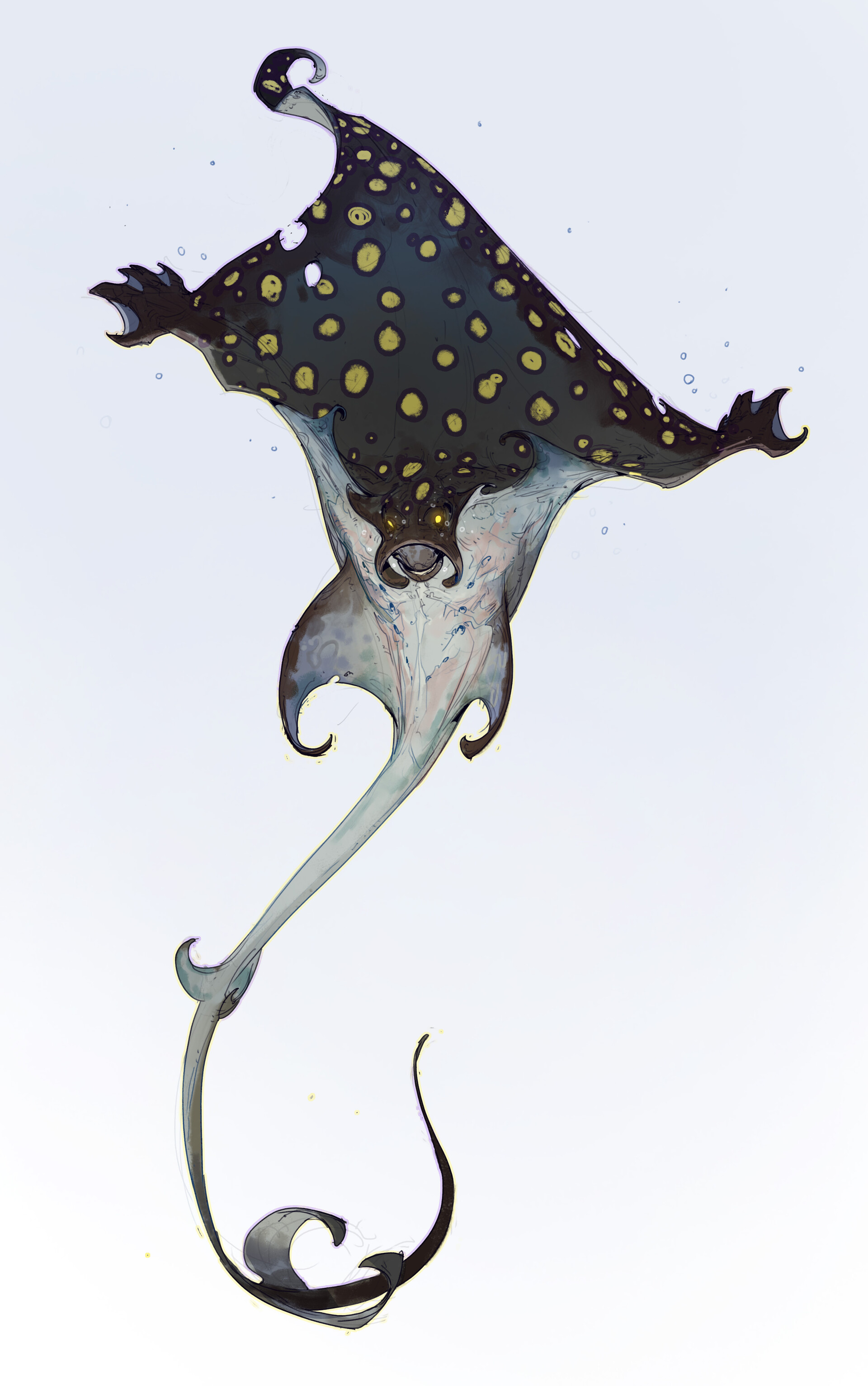 ognjen-sporin-1143-manta-ray-demo.jpg (1920×3063)-花瓣网
