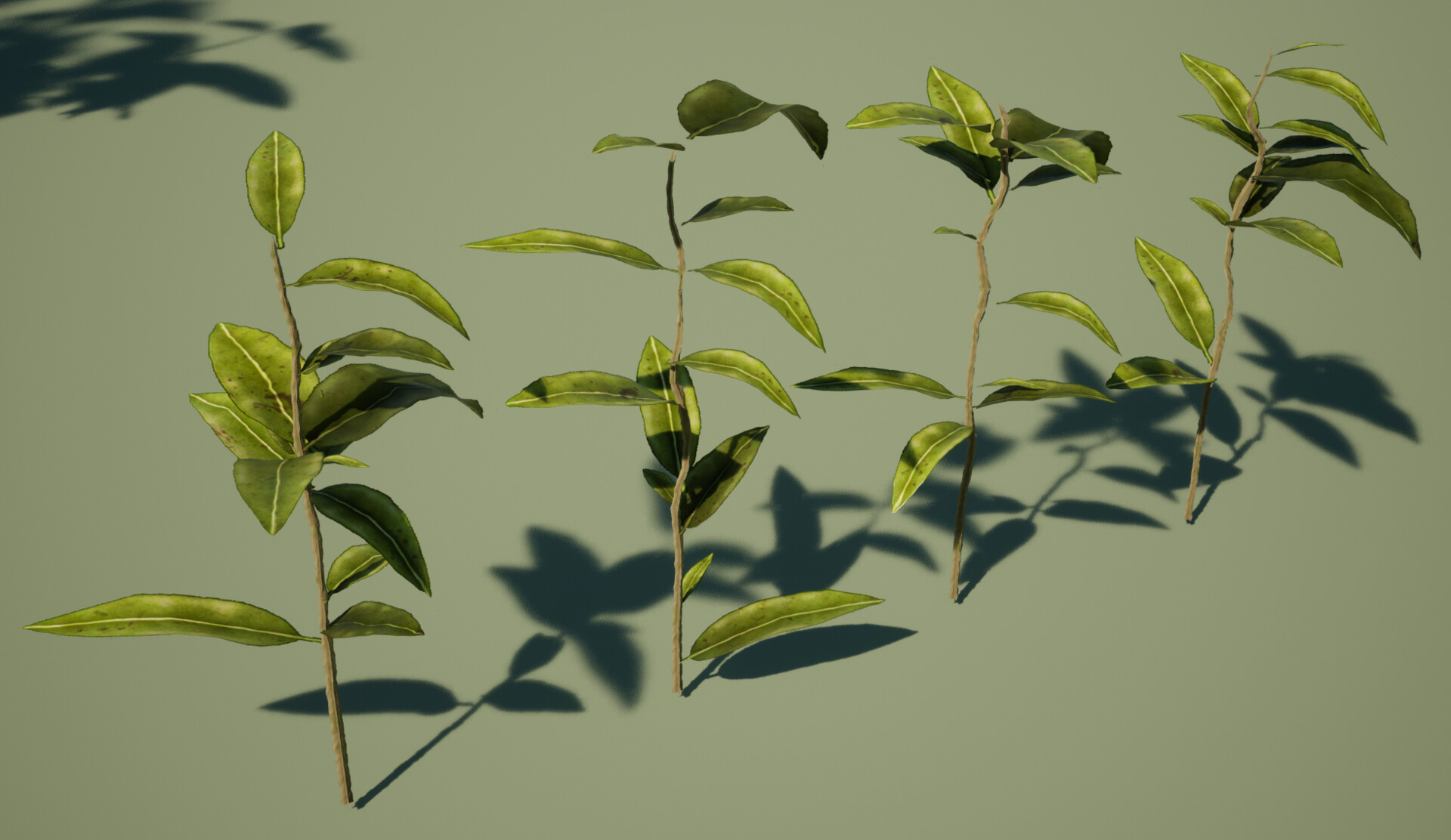 Piet Prager - Procedural Trees in Houdini | Honours Project