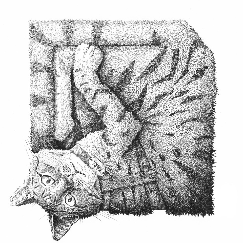 Roger Font - Cats (Felis catus)