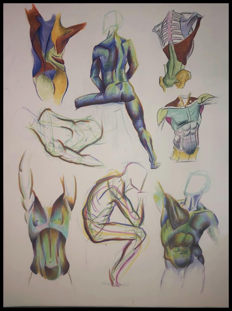 ArtStation - Torso Study