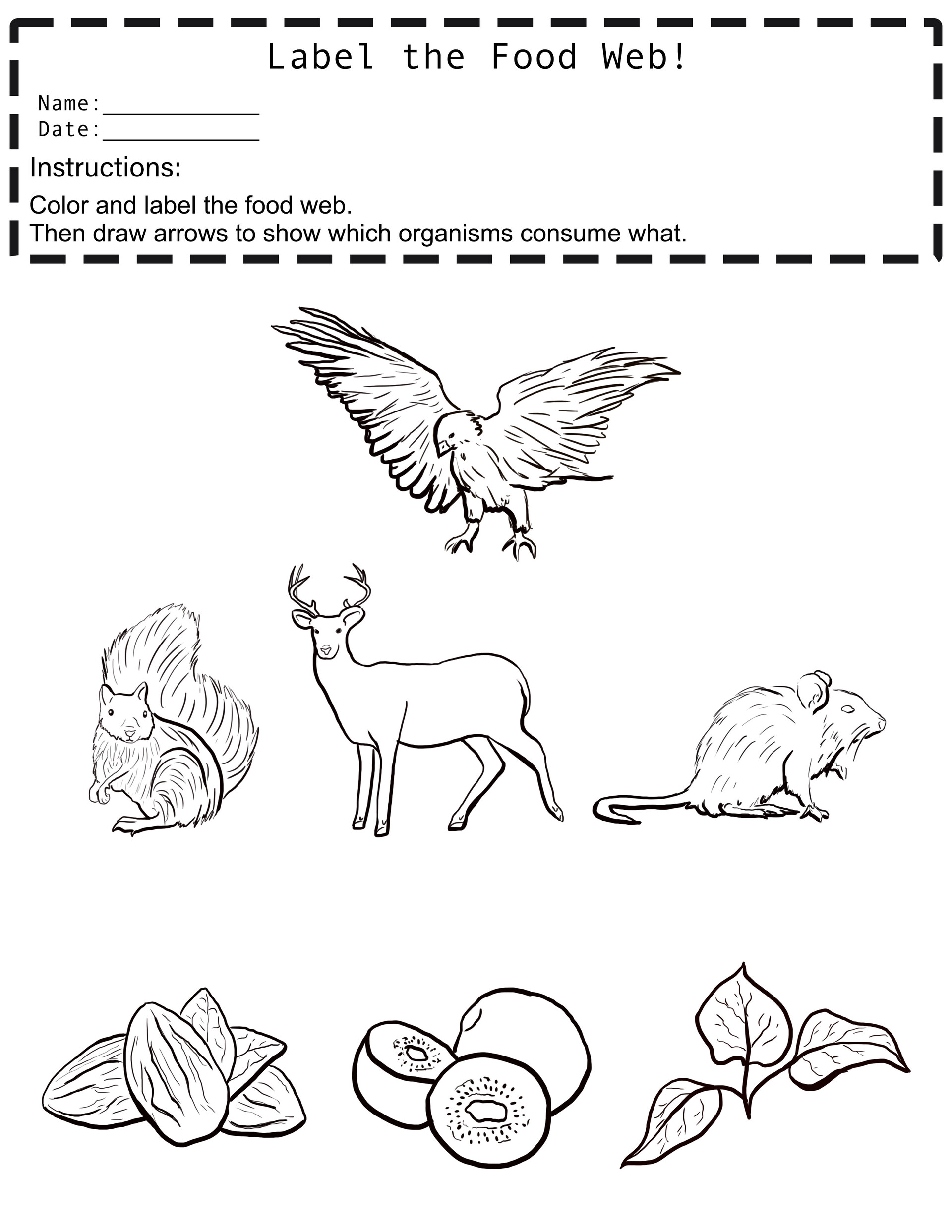 Megan Barr - Food Web